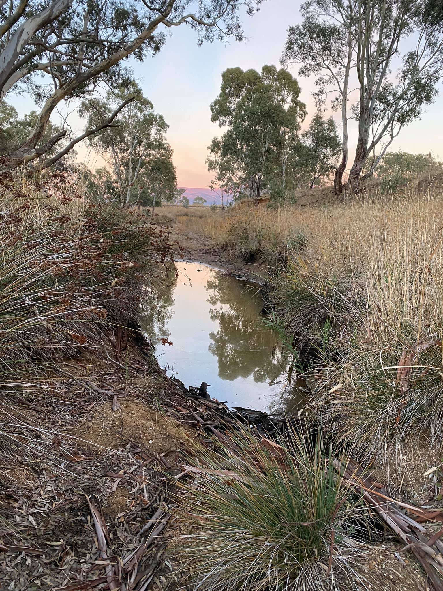 Miller's Landing - Hipcamp in Moyston, Victoria