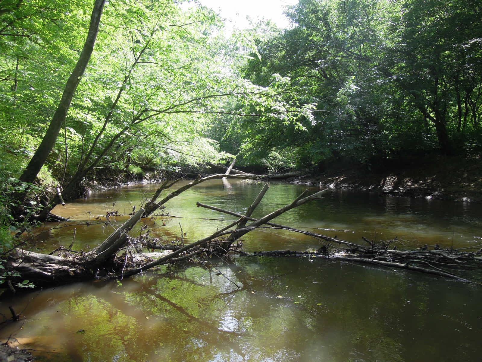 Willis River Hideaway - Hipcamp in Cumberland, Virginia