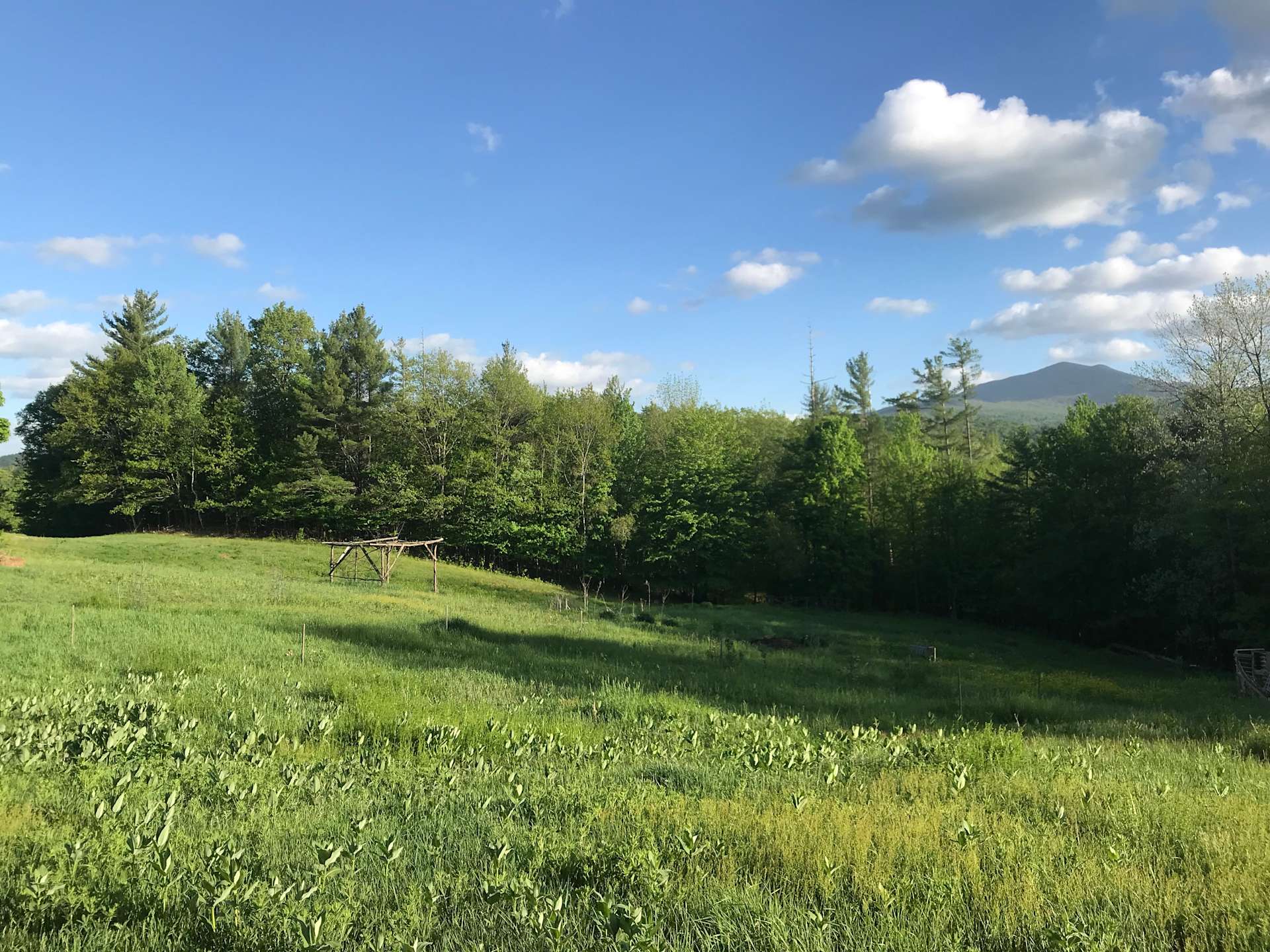 Hogback Homestead - Hipcamp in Johnson, Vermont