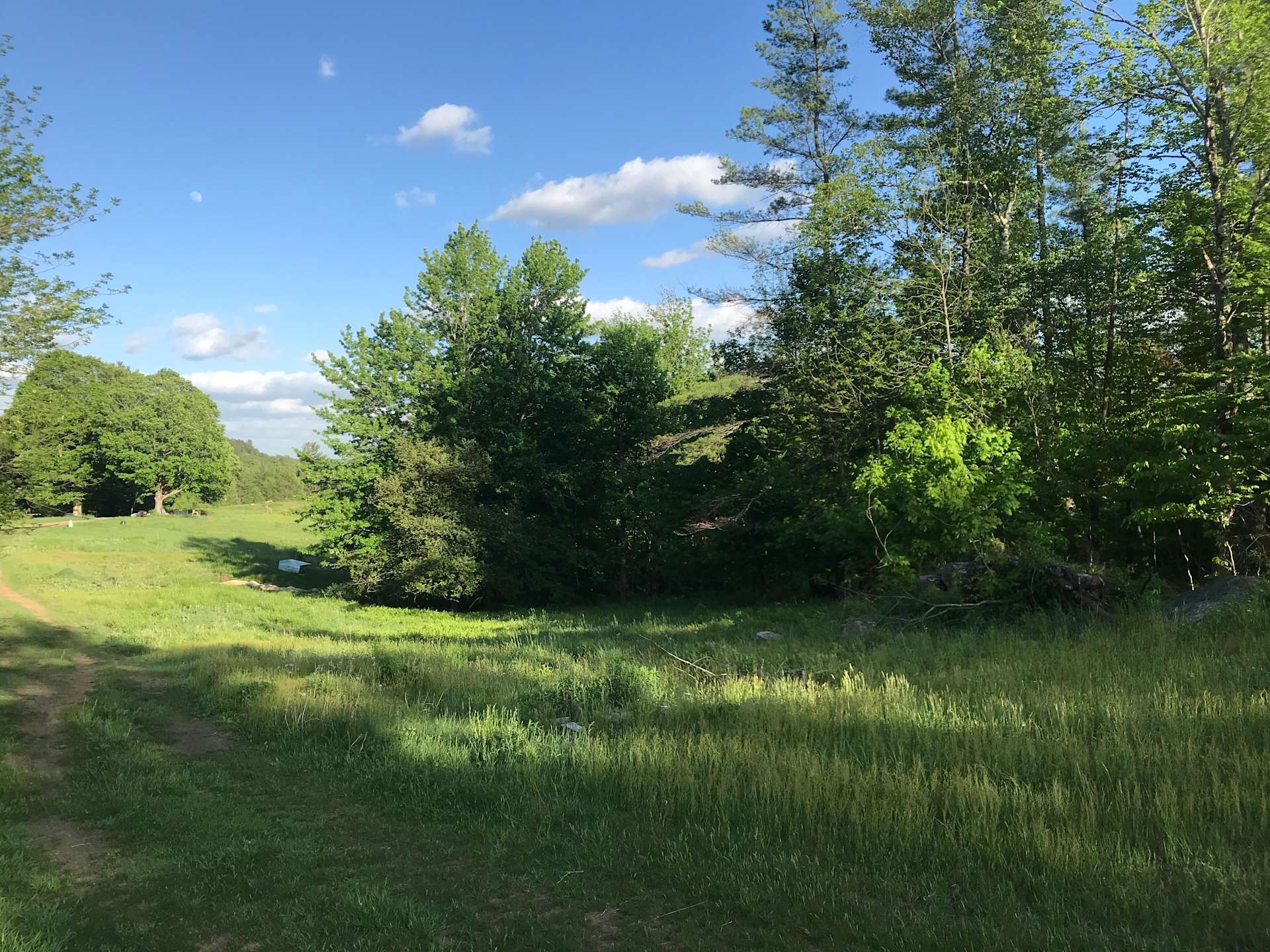 Hogback Homestead - Hipcamp in Johnson, Vermont