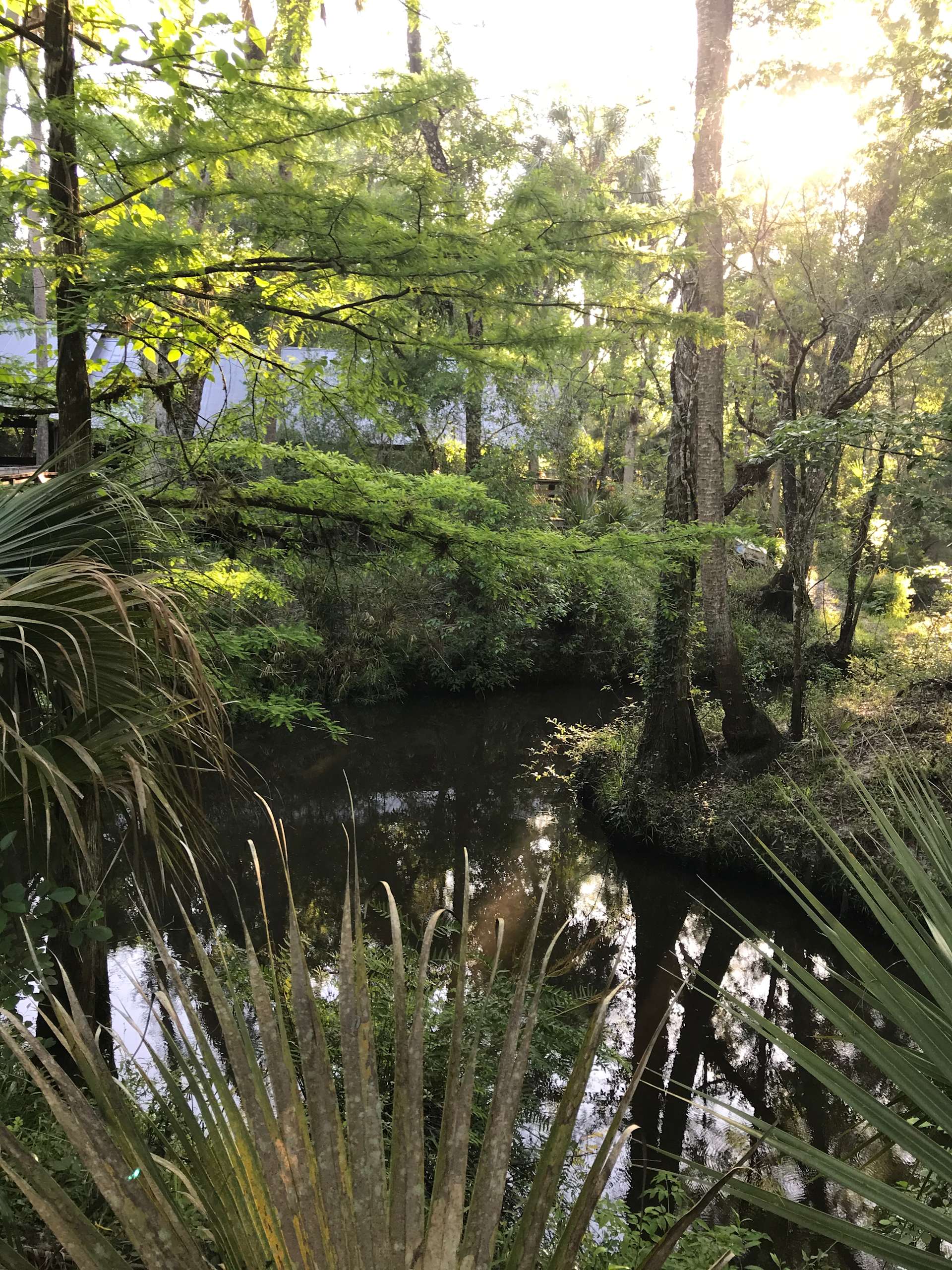 Cotee River Bend - Hipcamp in New Port Richey, Florida