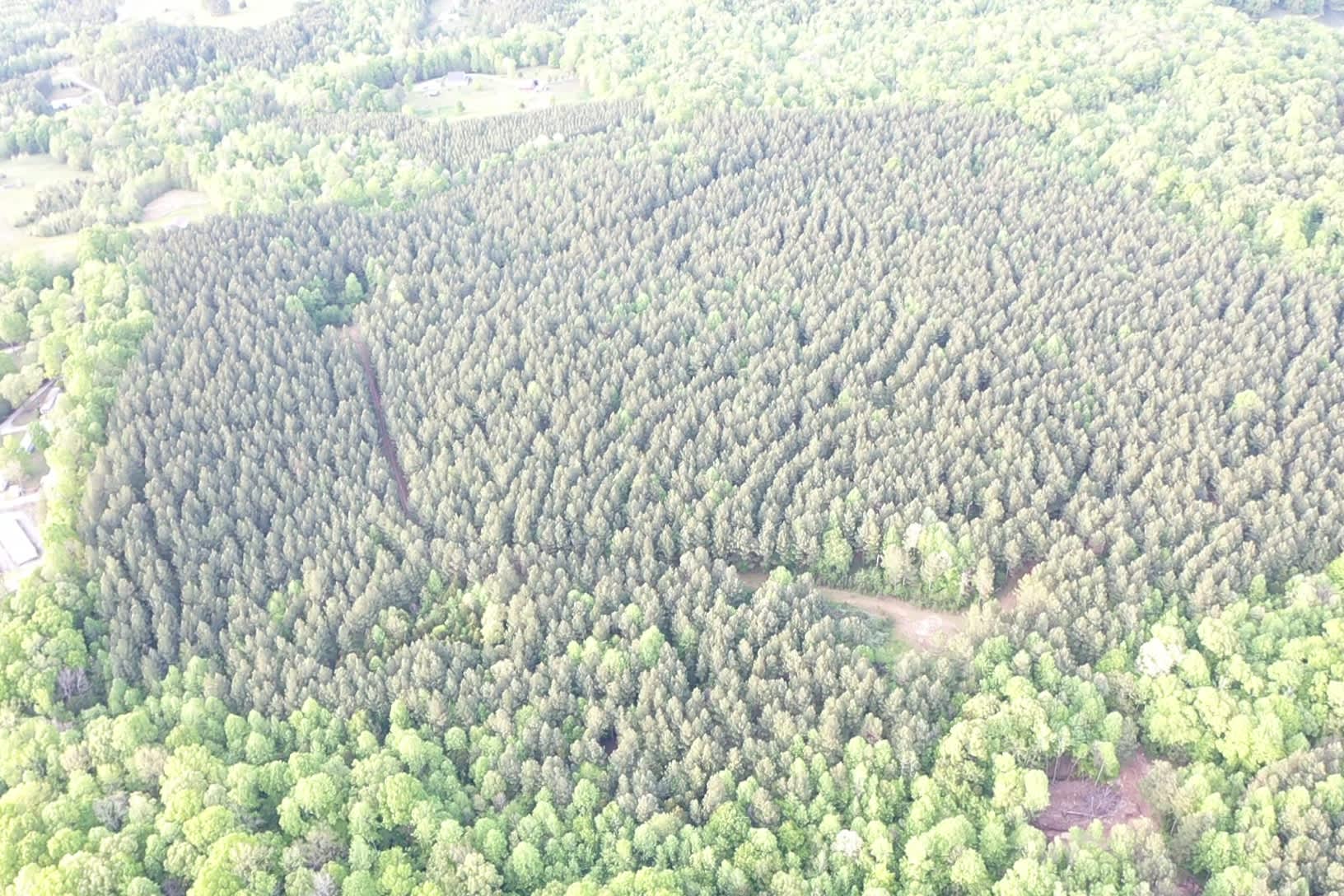 Prestige Pines - Hipcamp in Holladay, Tennessee