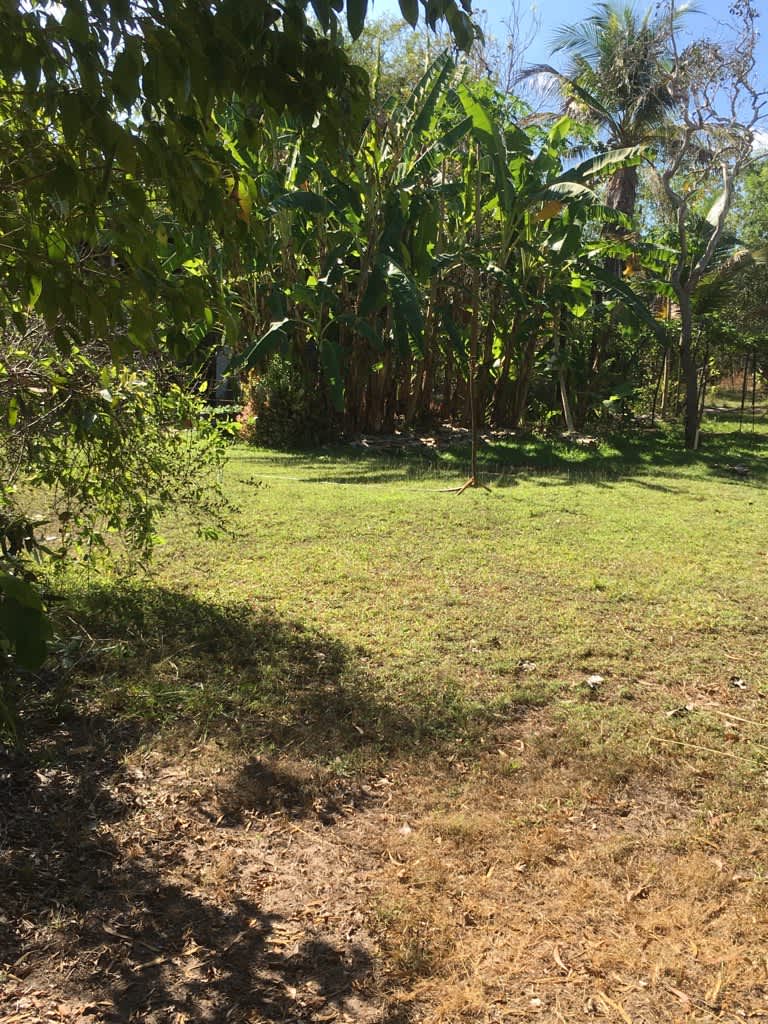 Bees Creek Bush Camp - Hipcamp in Bees Creek, Northern Territory