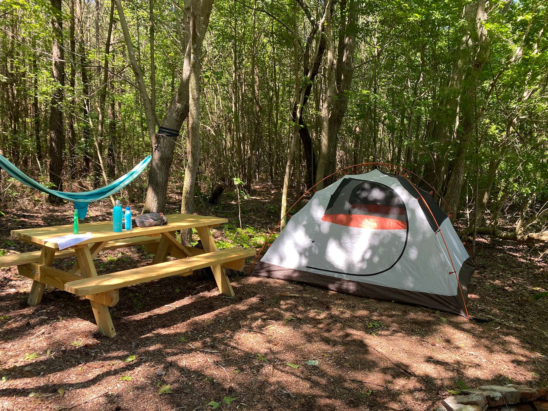 The Guinea Farm, Field, and Forest - Hipcamp in Diggs, Virginia
