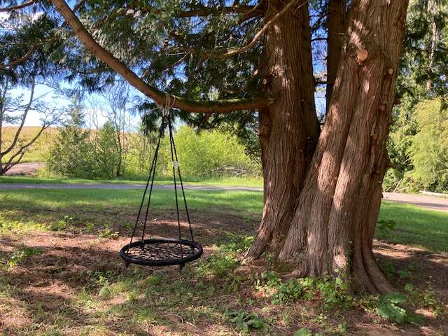 Rusty Ranch Tree Farm and Forest - Hipcamp in , Washington