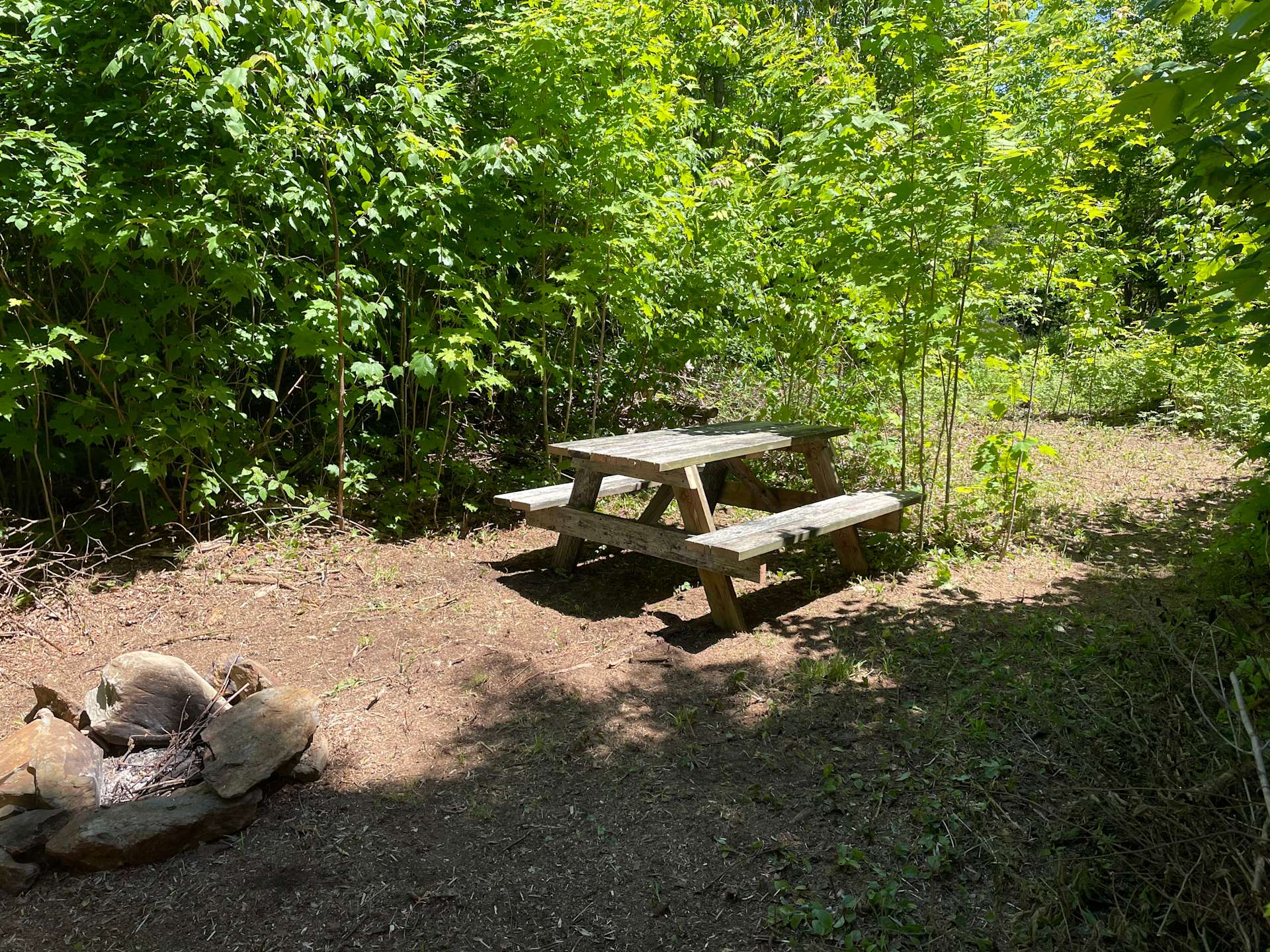 Crickle Creek - Hipcamp in Wheelock, Vermont