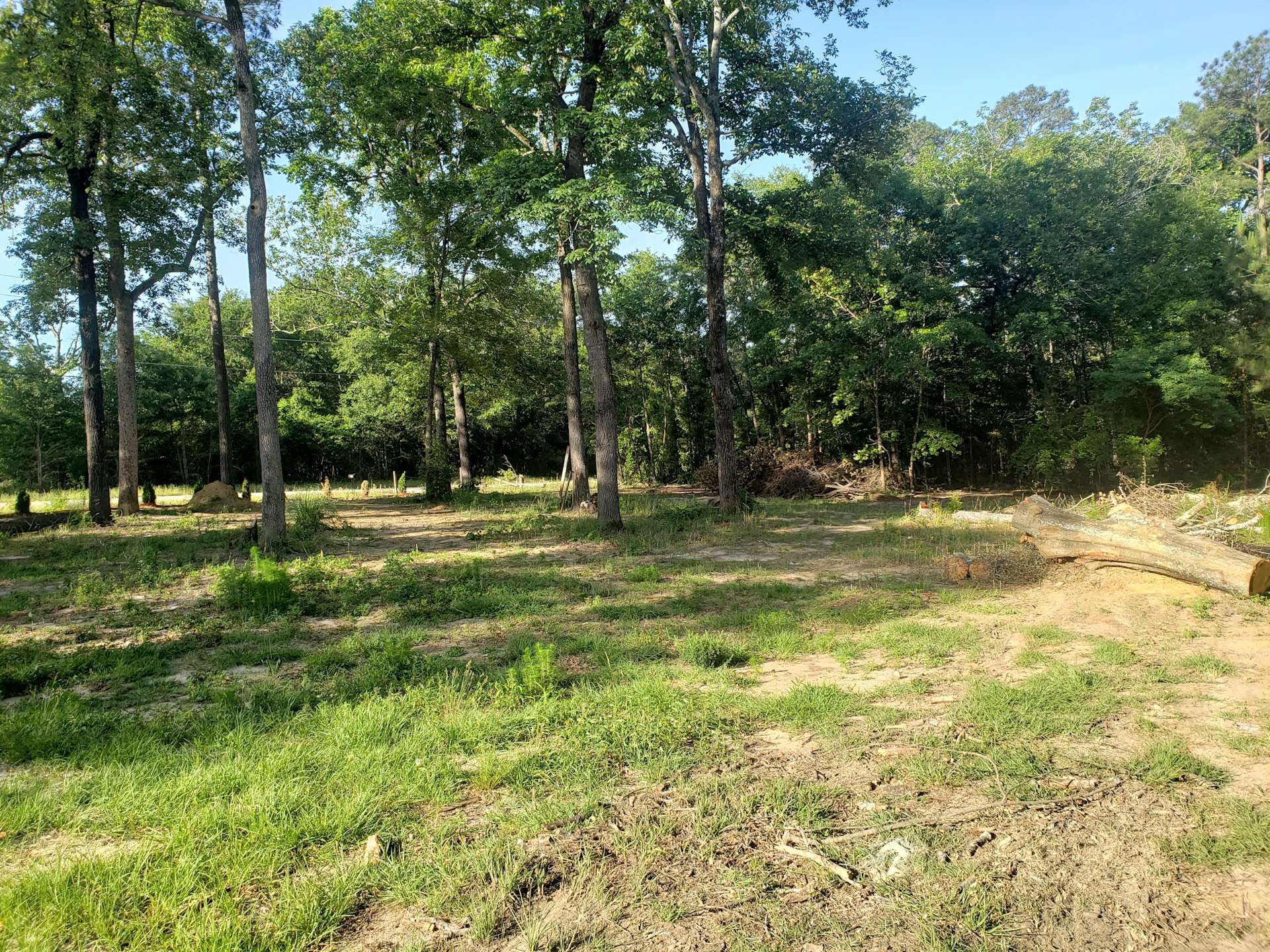 The Goodson Forest Estate - Hipcamp in Hopkins, South Carolina