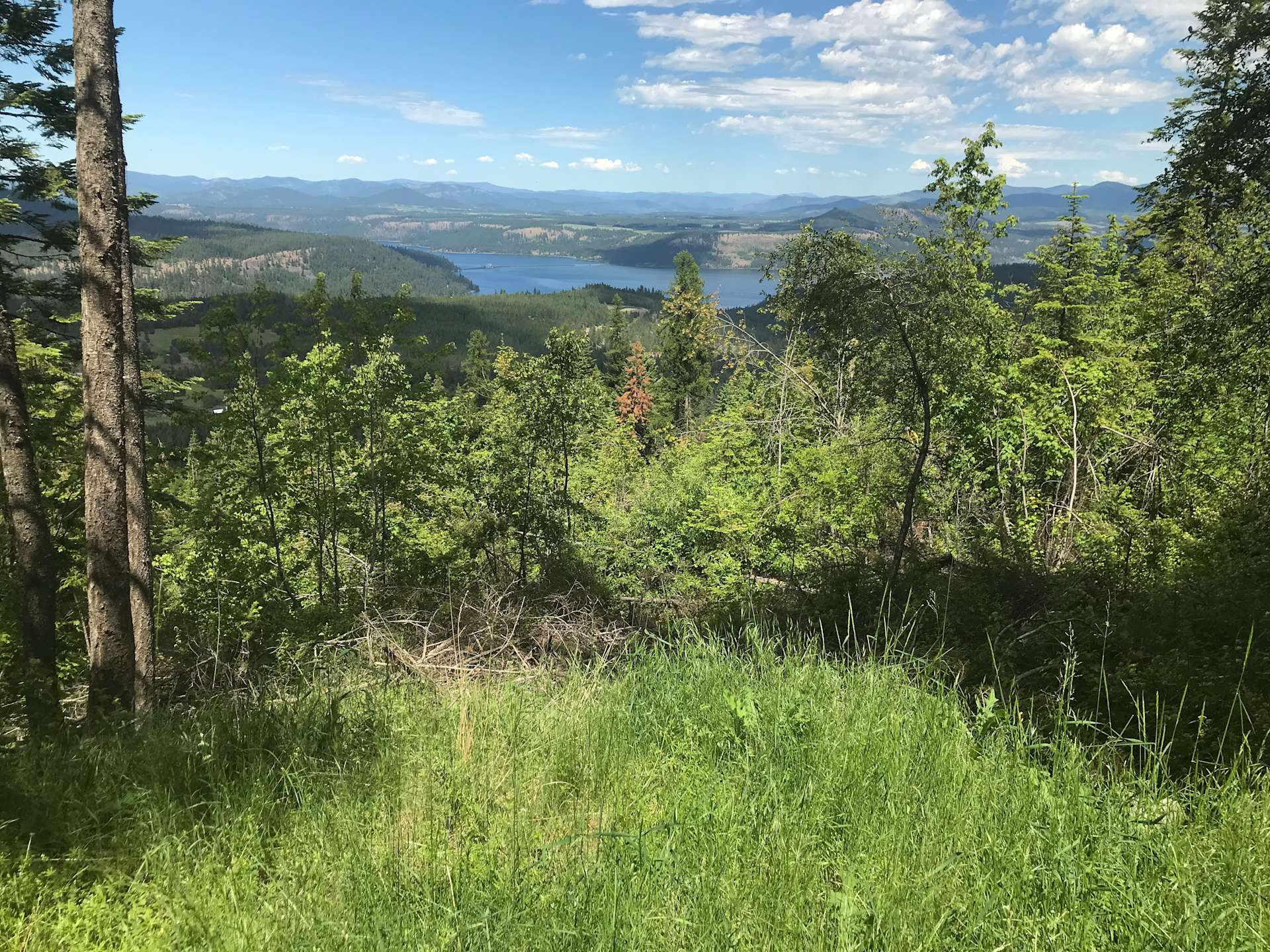 Parkside Mountain Ranch - Hipcamp in Plummer, Idaho