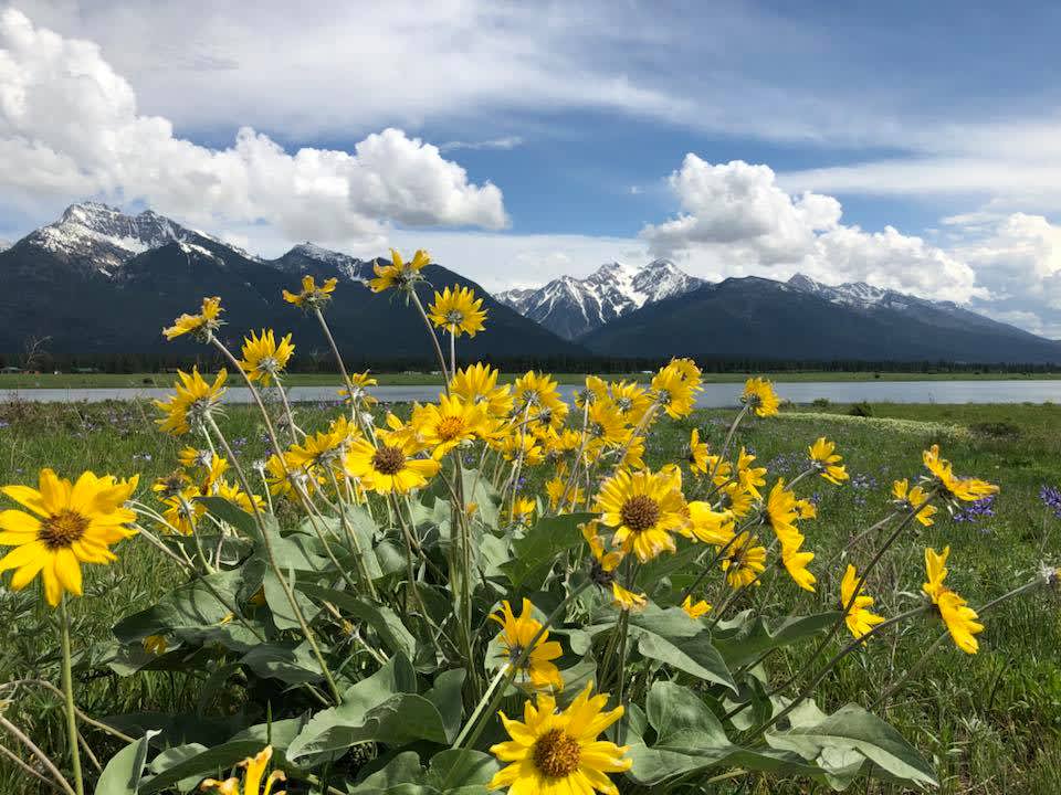 Peaceful Mission Mountain Paradise - Hipcamp in Ronan, Montana