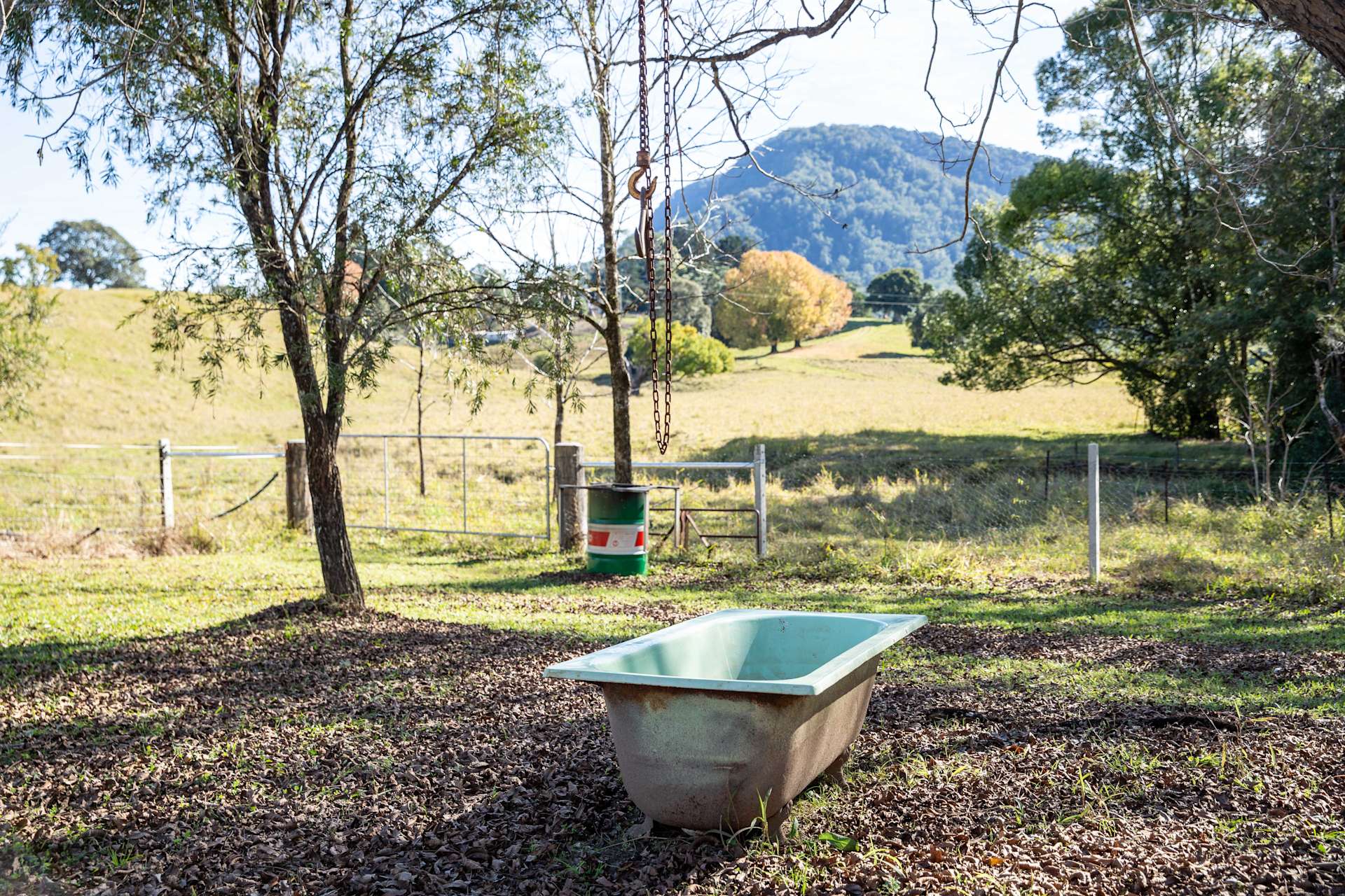 Nimbin Farm 101 - Hipcamp in Nimbin, New South Wales