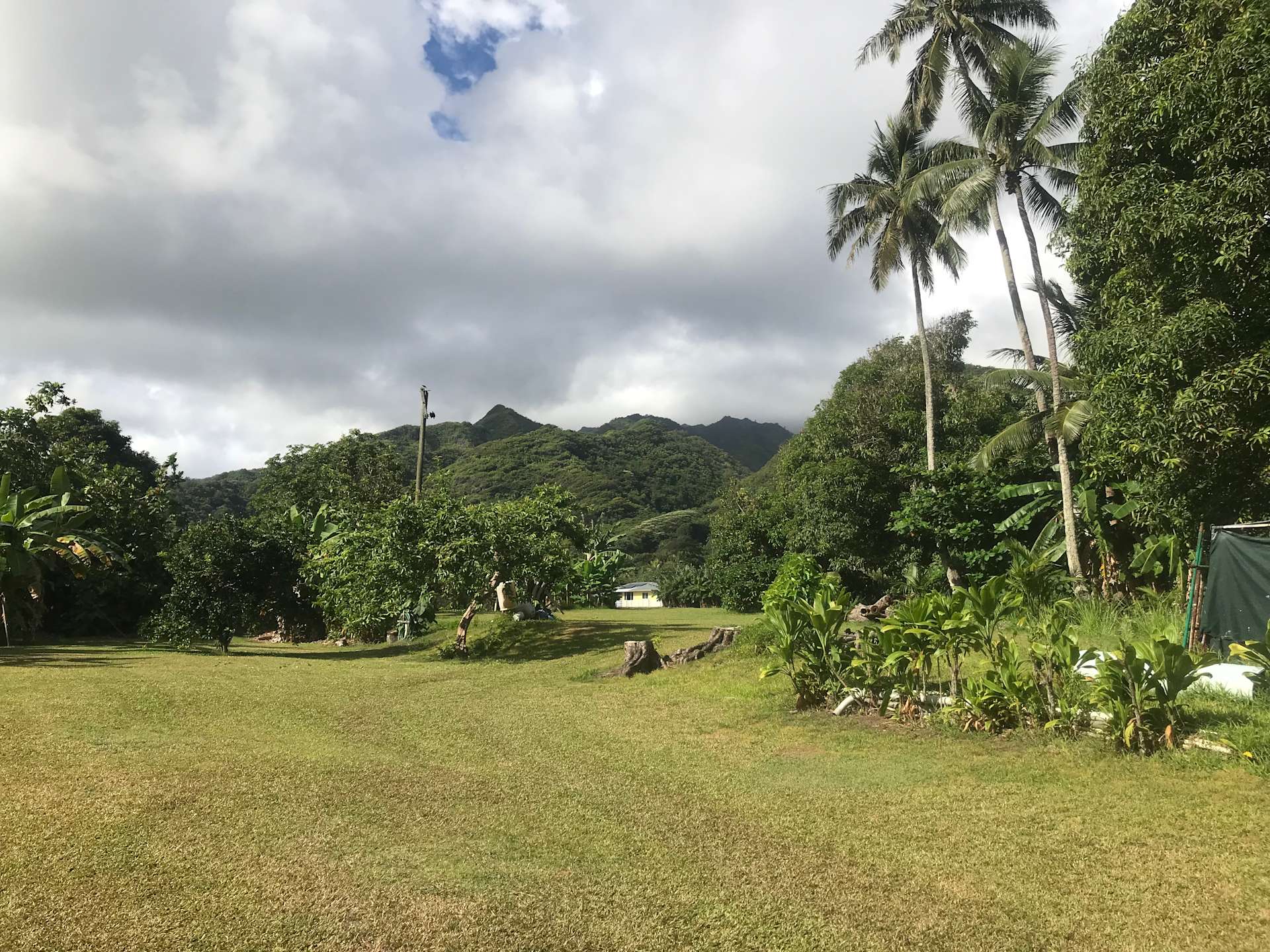 Hau'ula Homestead - Hipcamp in Hauula, Hawaii