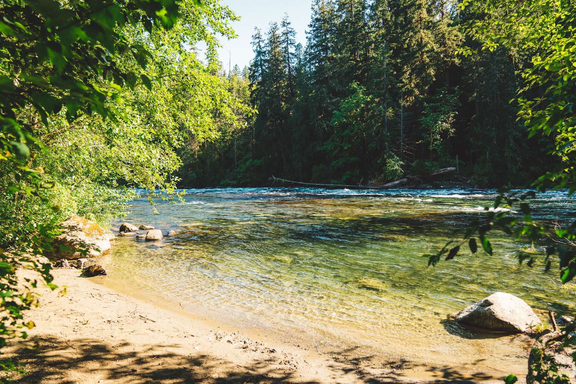 Wandering Hoof Ranch - Hipcamp in Port Alberni, British Columbia