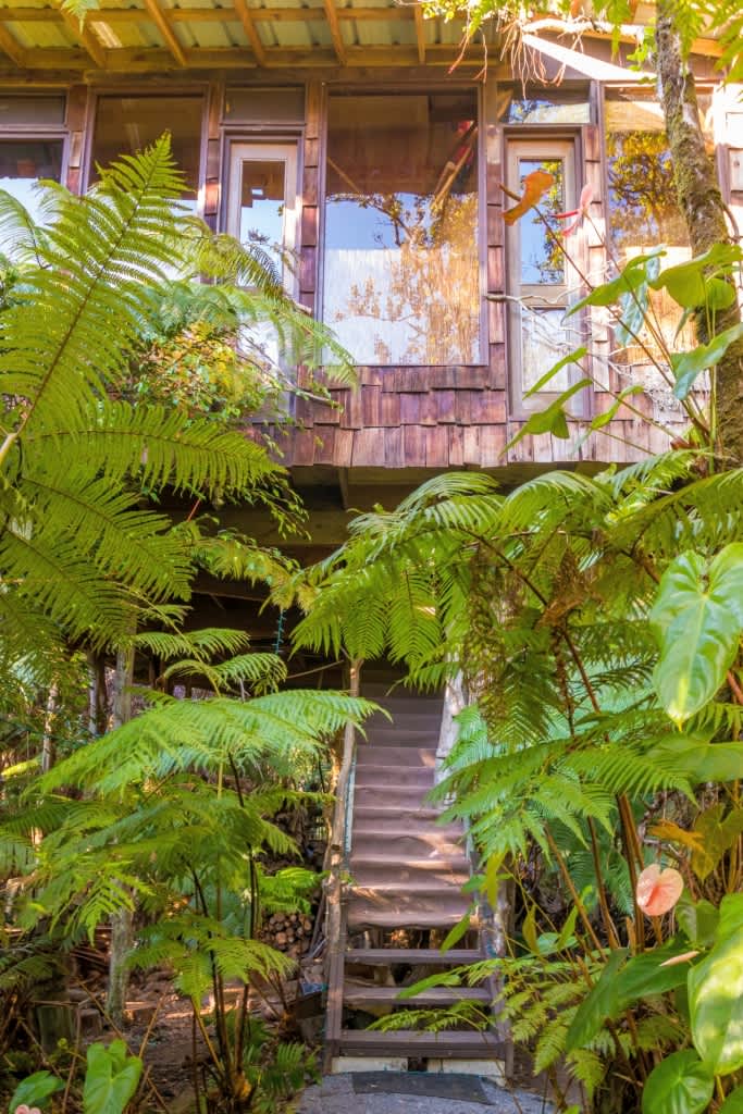 TreeHouse in canopy of trees - Hipcamp in Mountain View, Hawaii