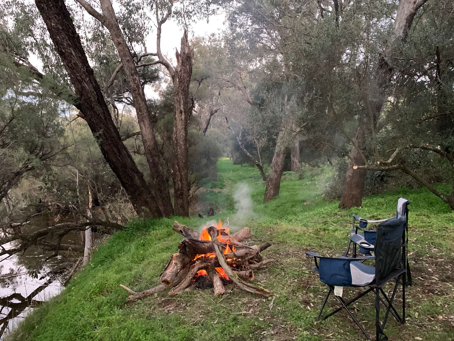 Murray River Magic - Hipcamp in Pinjarra, Western Australia