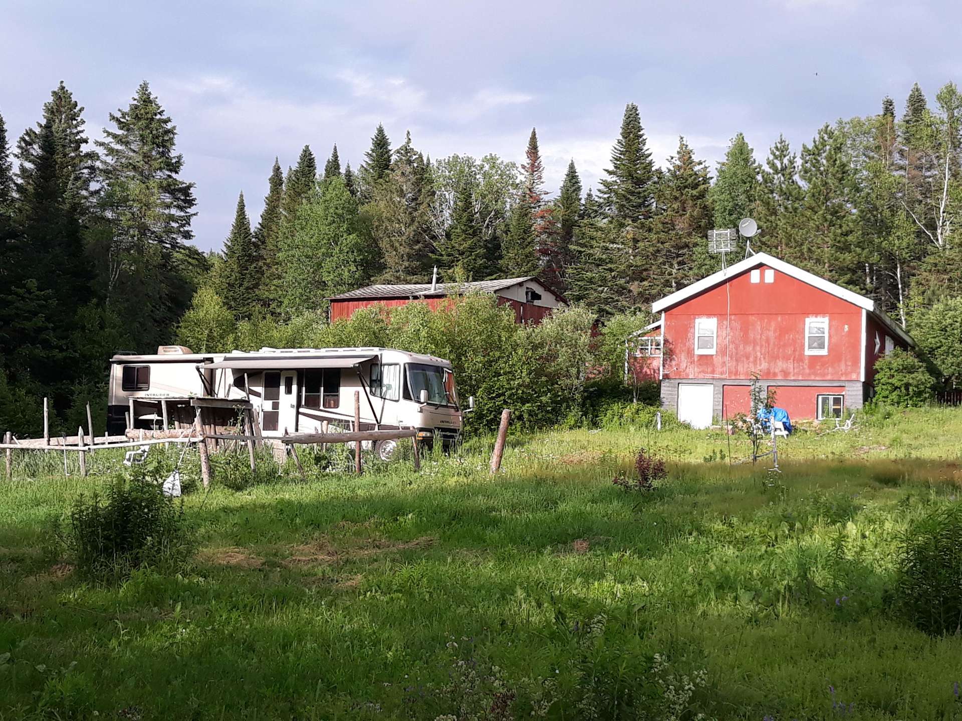 Laughing Pig Farm - Hipcamp in Upper Kintore, New Brunswick