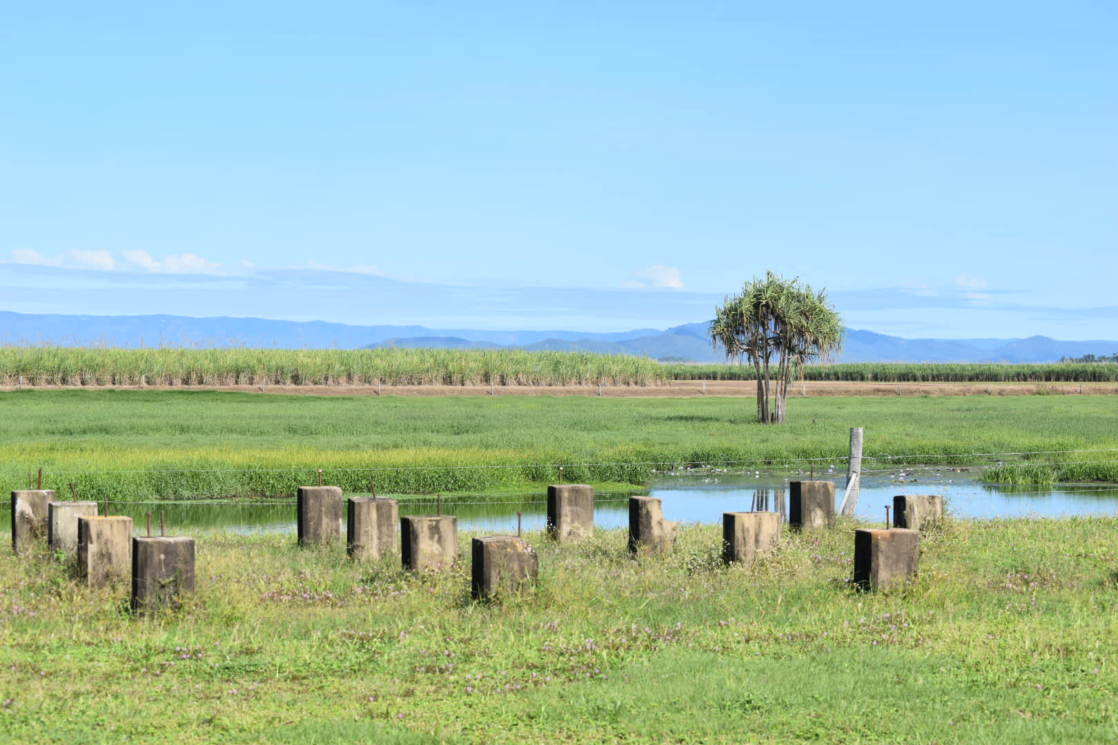 Mungalla Station - Hipcamp in Forrest Beach, Queensland