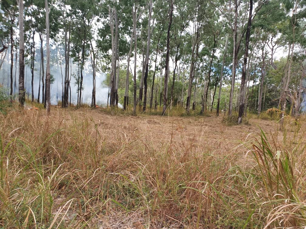 Annan River Camping - Hipcamp in Cooktown, Queensland