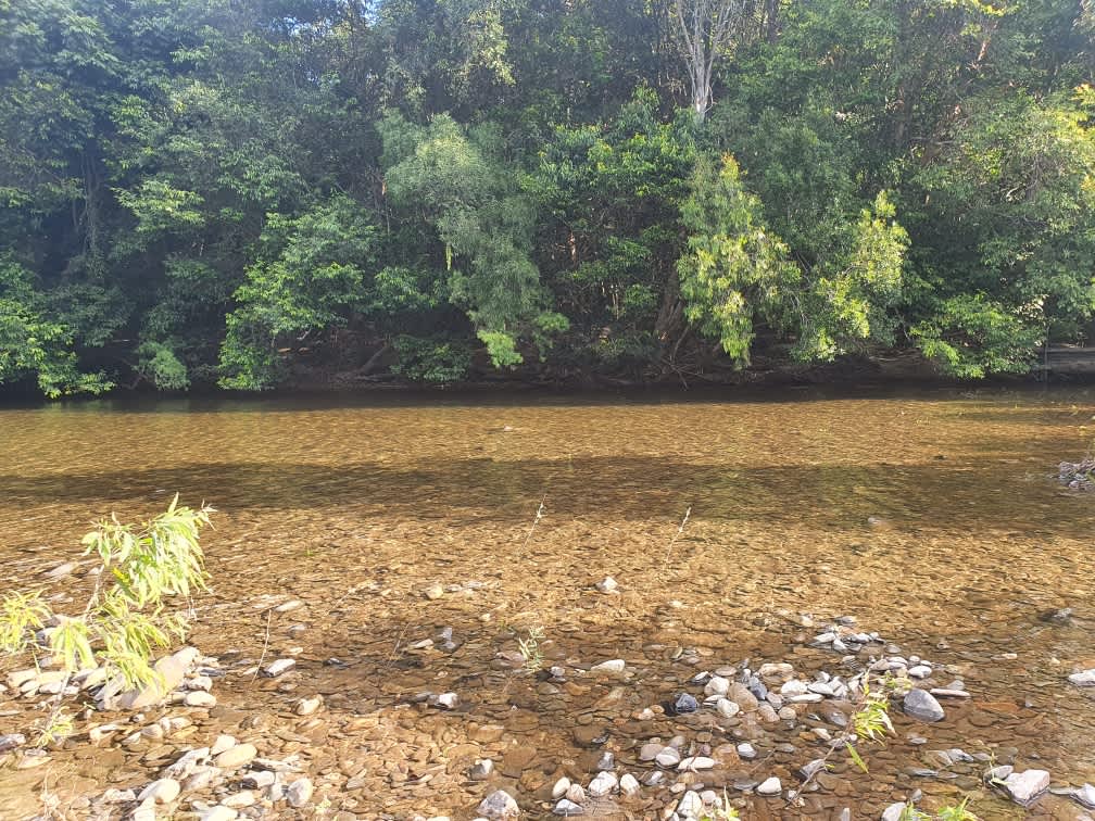 Annan River Camping - Hipcamp in Cooktown, Queensland