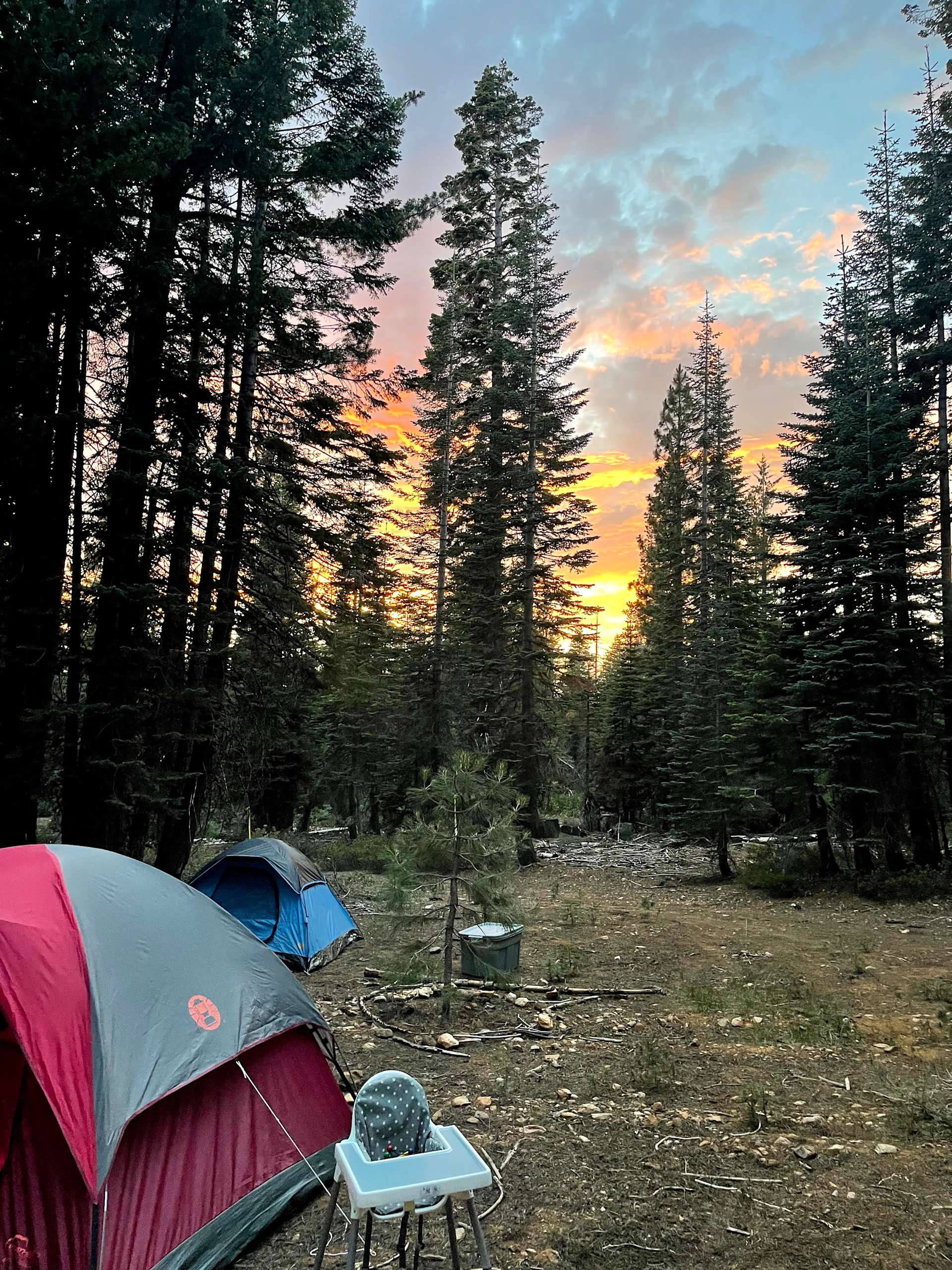 Sugarpine Slopes at Grouse Ridge - Hipcamp in , California