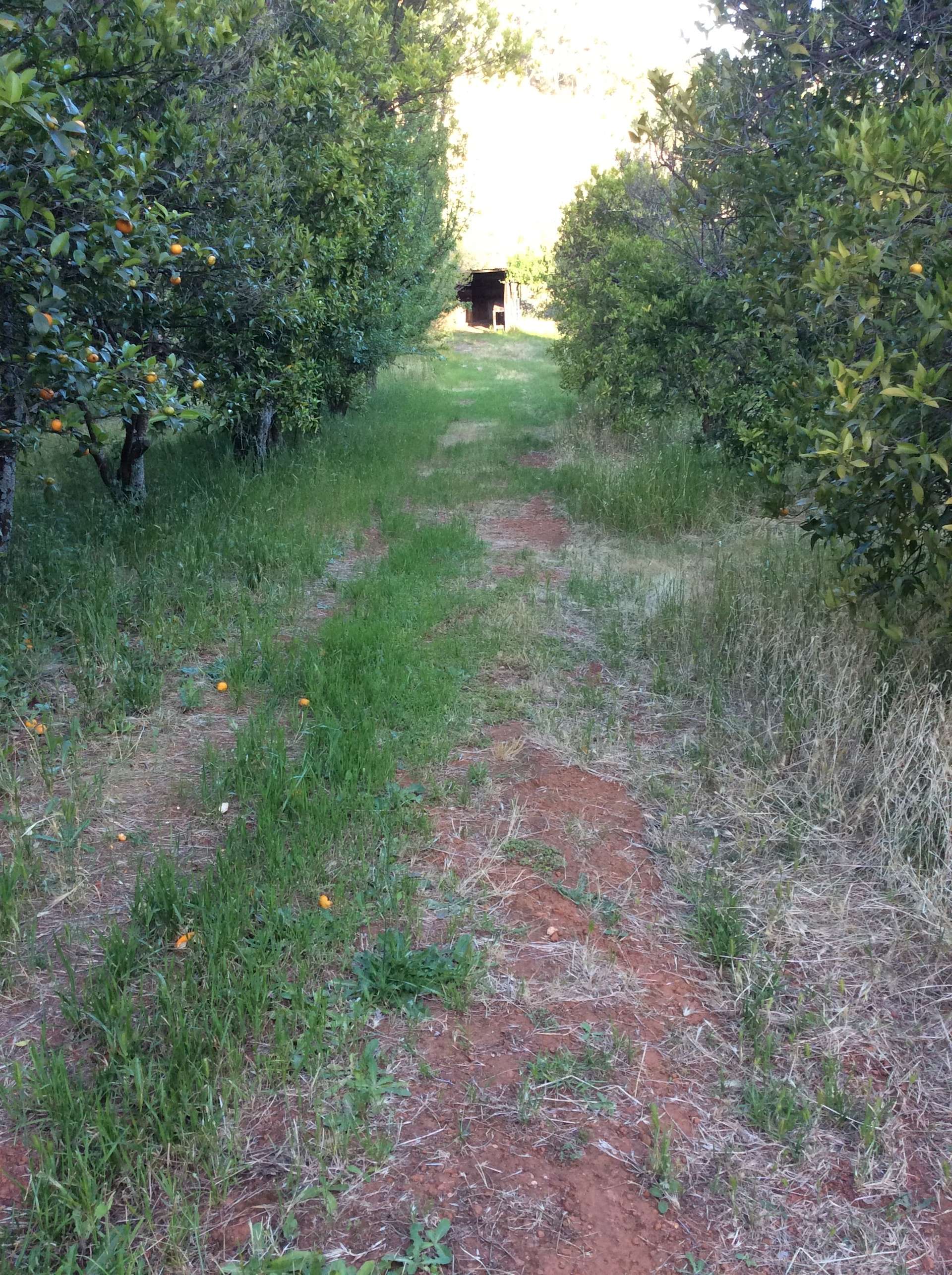 Roleystone Farm Stay - Hipcamp in Roleystone, Western Australia