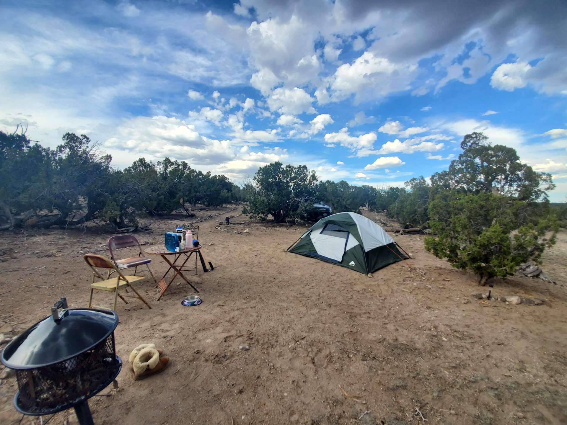High Desert Magic - Hipcamp in New Mexico 87829, New Mexico