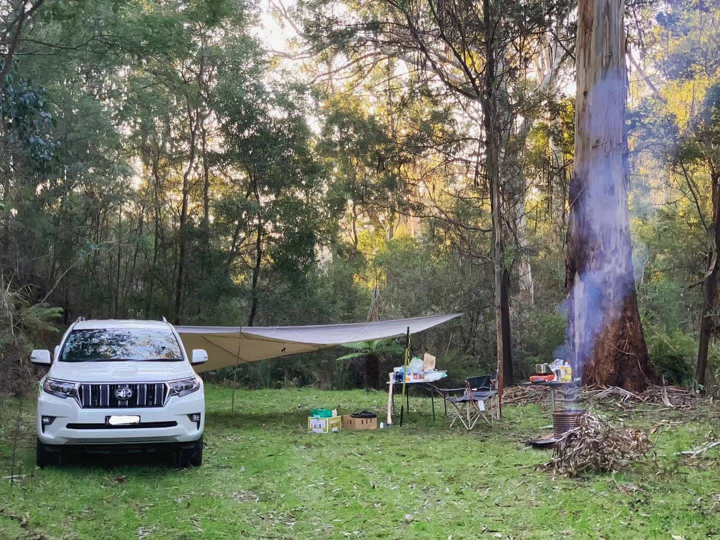 The Fern Glade - Hipcamp in Murrindindi, Victoria
