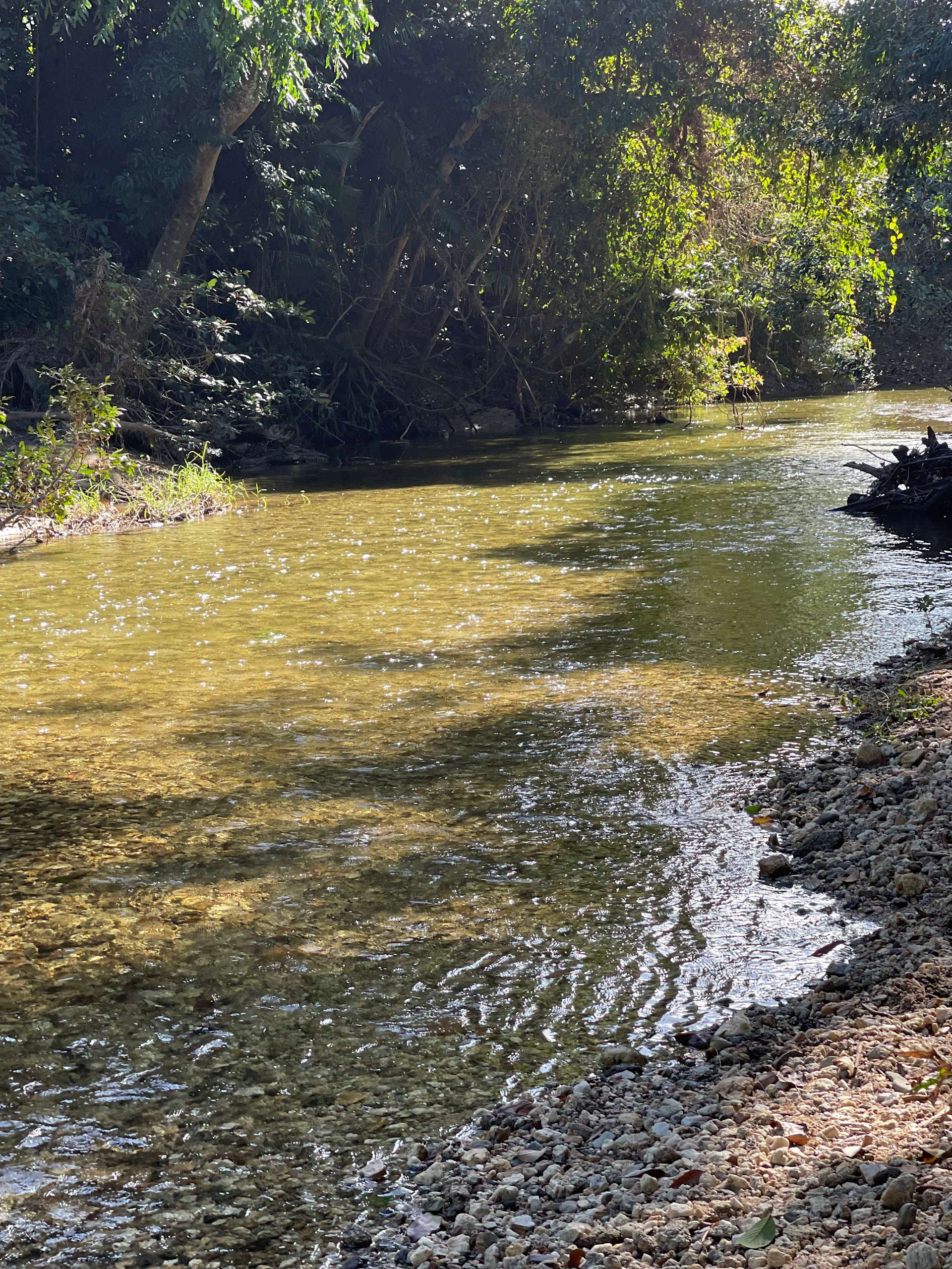 Mossman “Tati farm” stay. - Hipcamp in Miallo, Queensland