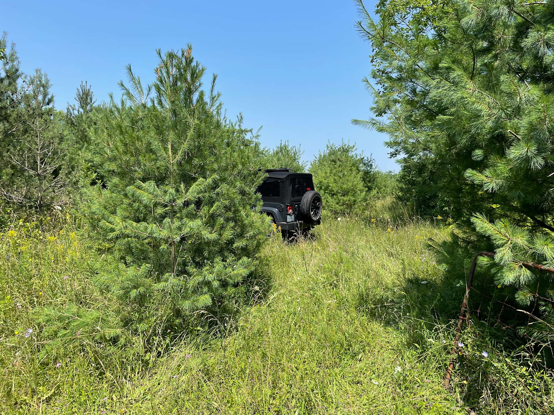 Wild Forest Camping & Beach Uproad - Hipcamp in Meaford, Ontario