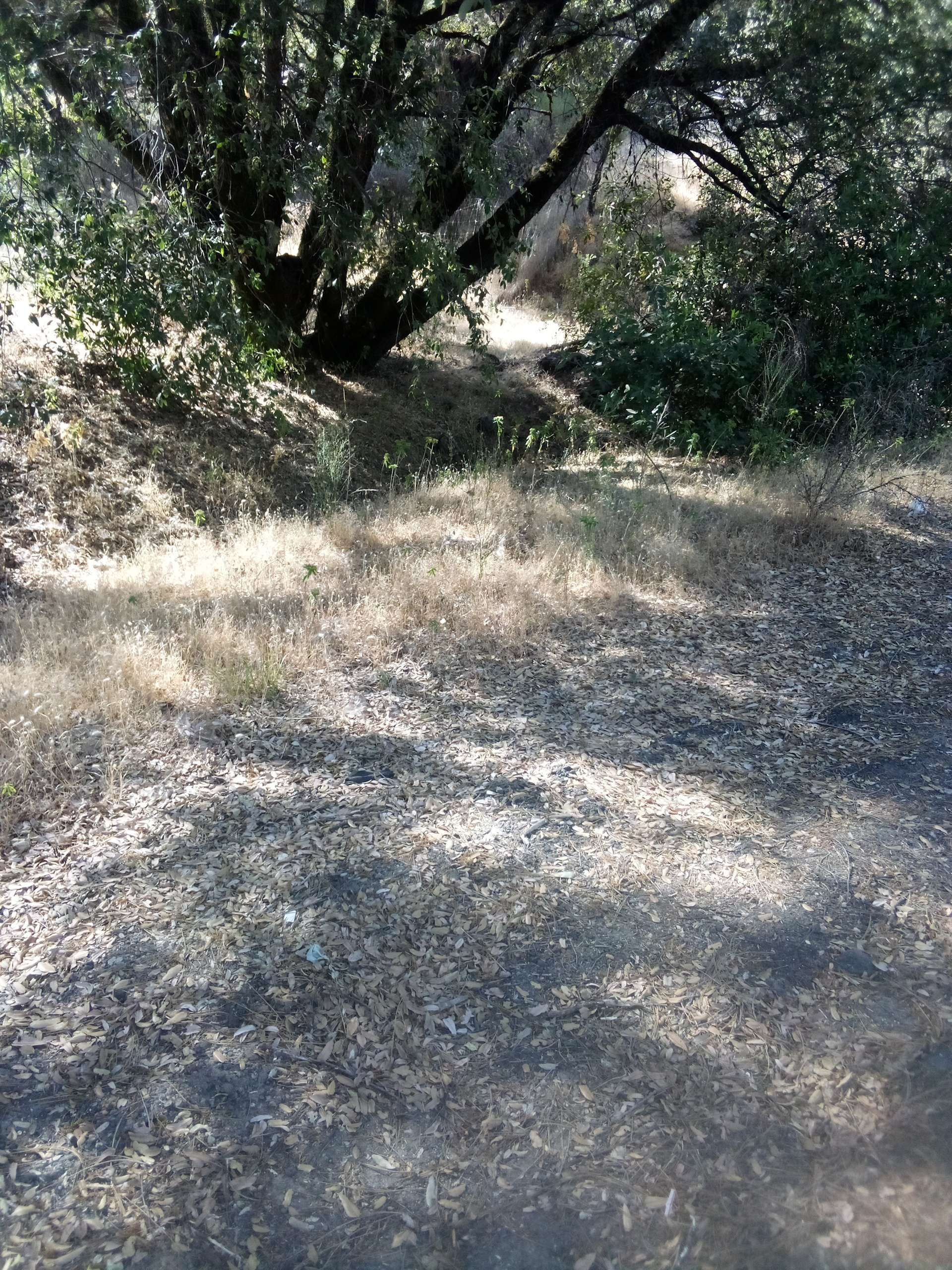 Star wizard ranch - Hipcamp in Somerset, California