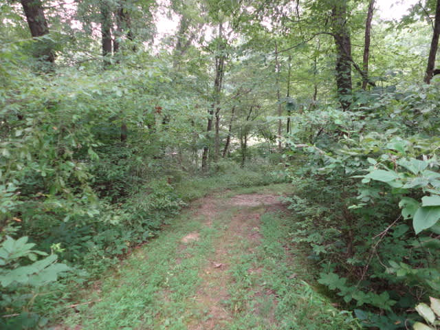 Doug K.’s Land - Hipcamp in Tennyson, Indiana