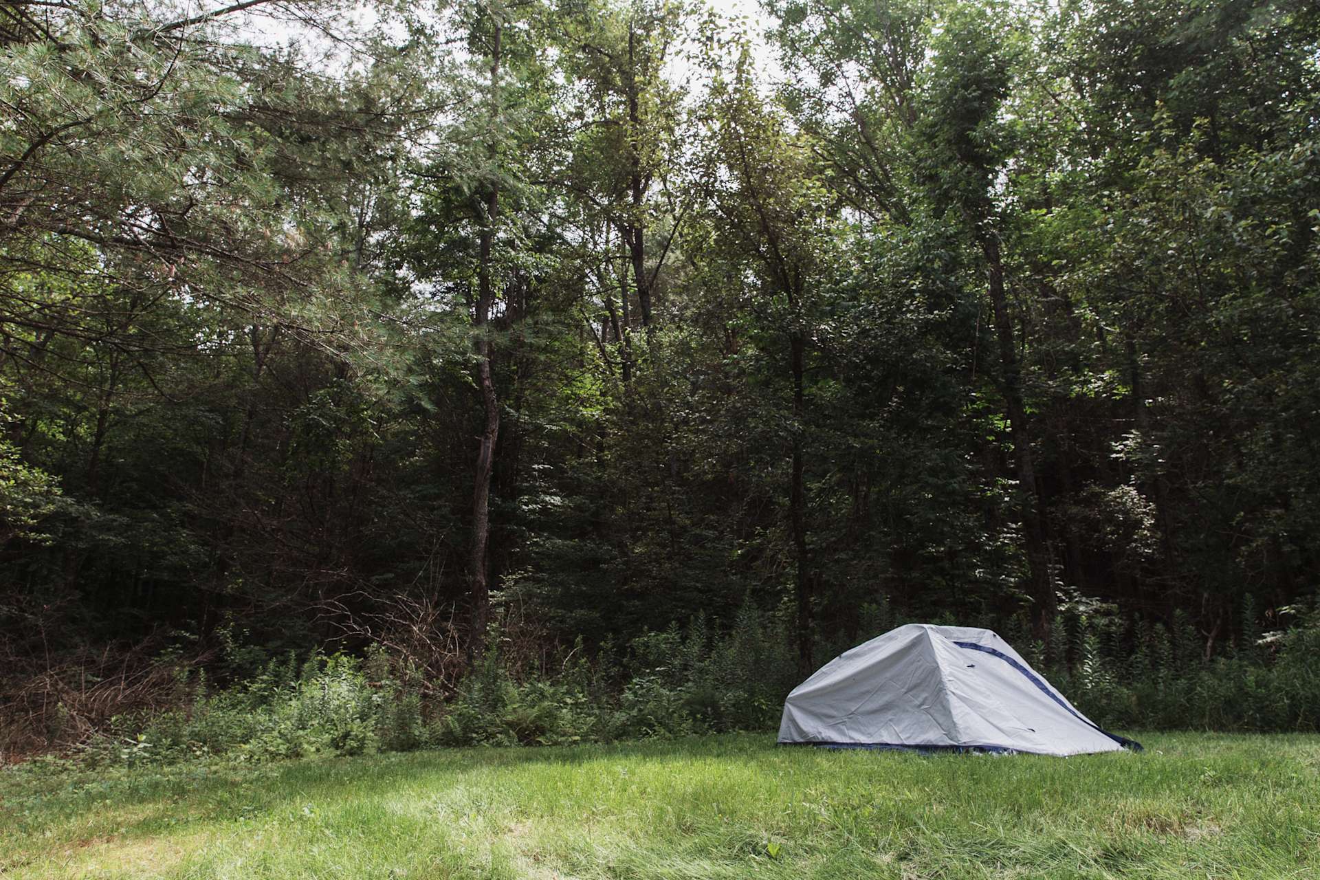 Wooded Farm Land - Hipcamp in Woodstock, Vermont