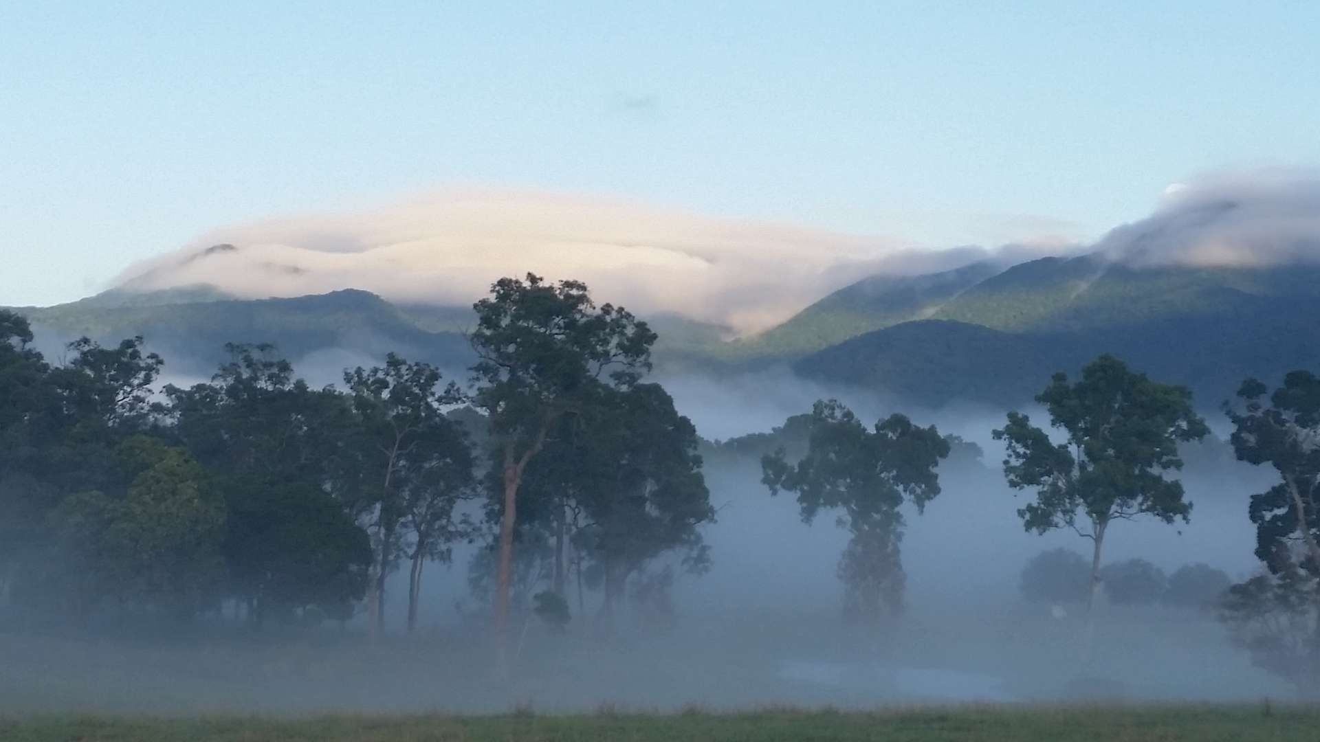Cool Clean & Green in Julatten! - Hipcamp in Julatten, Queensland