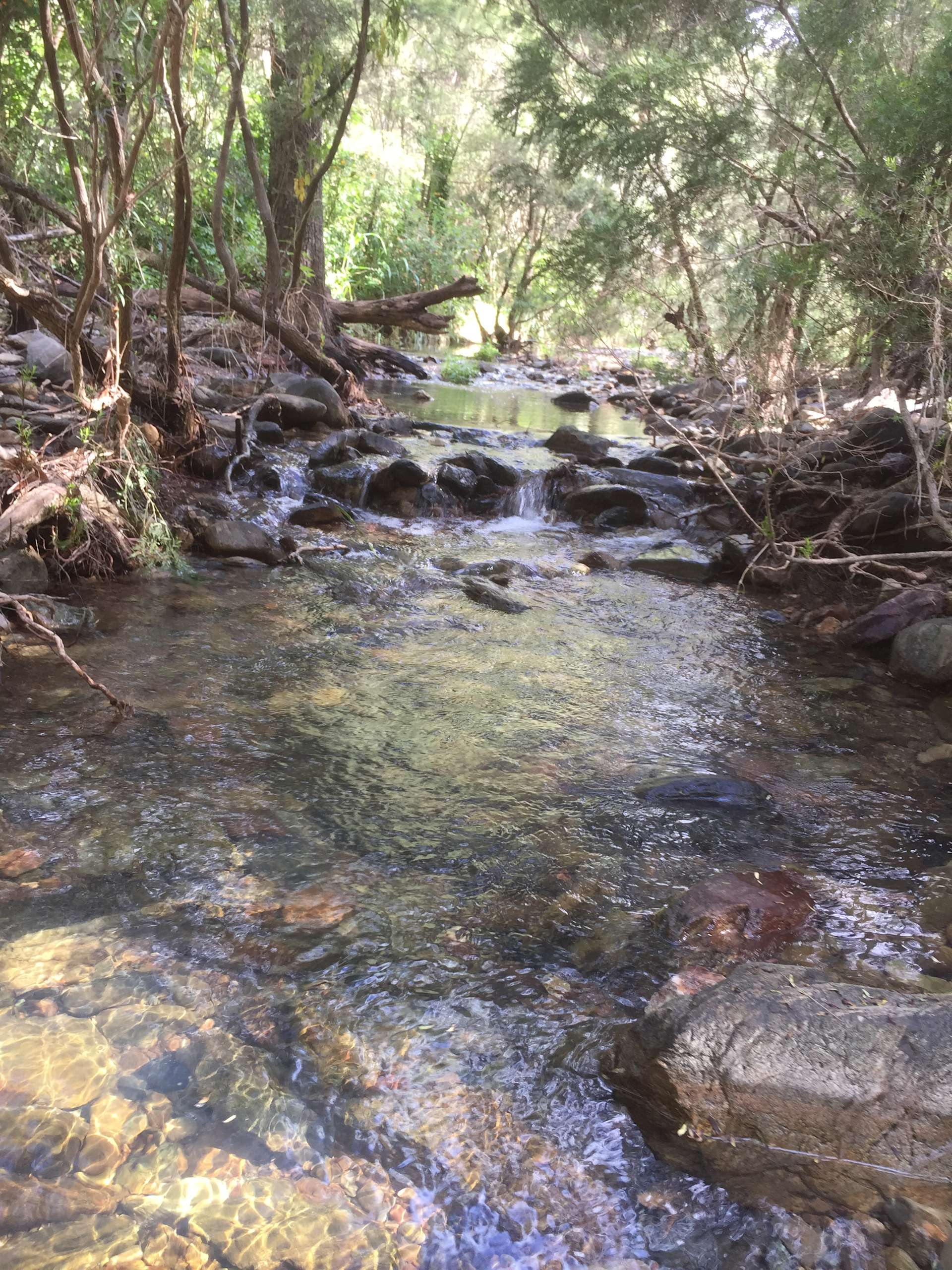 Kobble Creek Family Farm - Hipcamp in Kobble Creek, Queensland