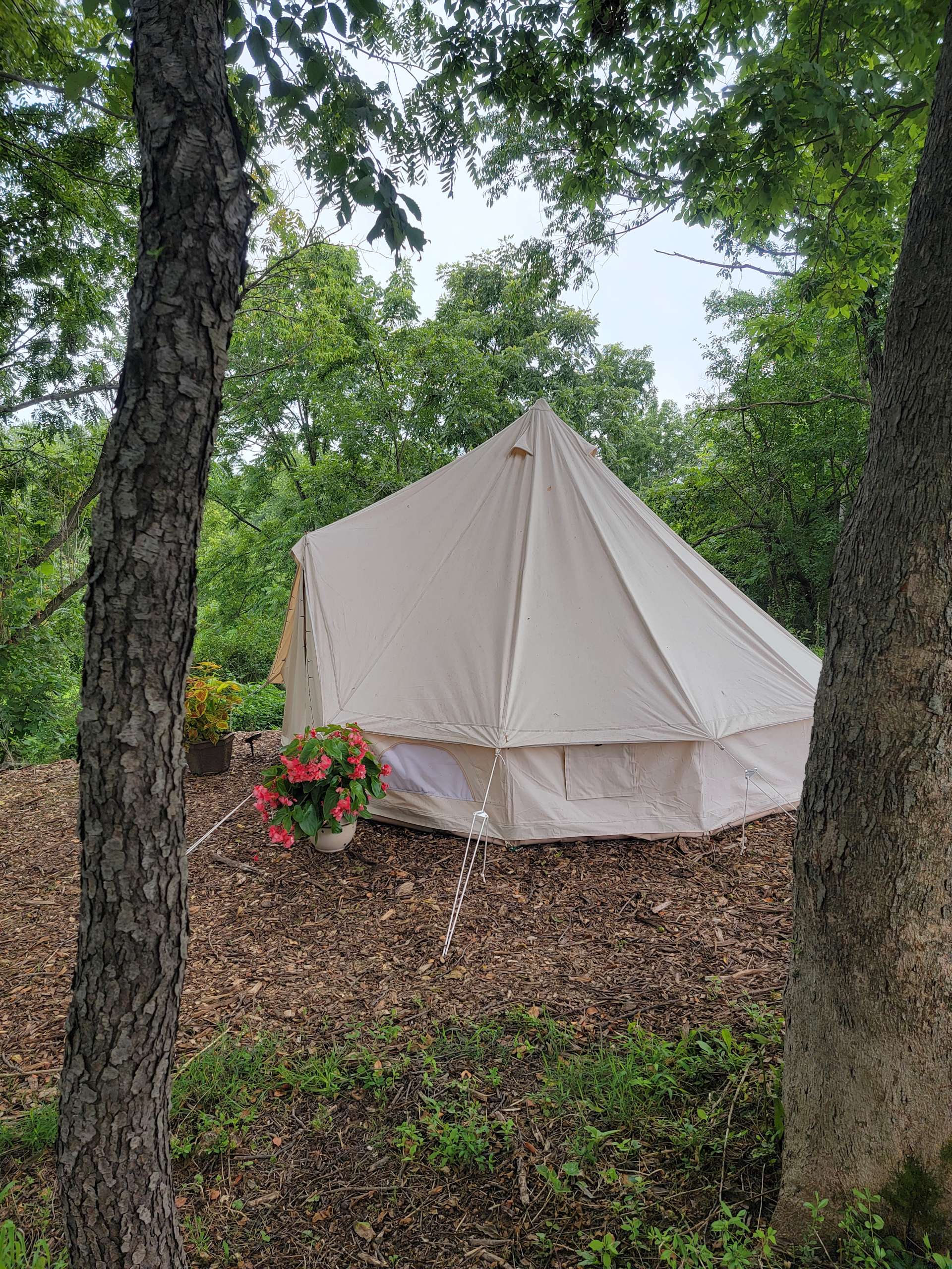 Wallkill River Camping - Hipcamp in Montgomery, New York