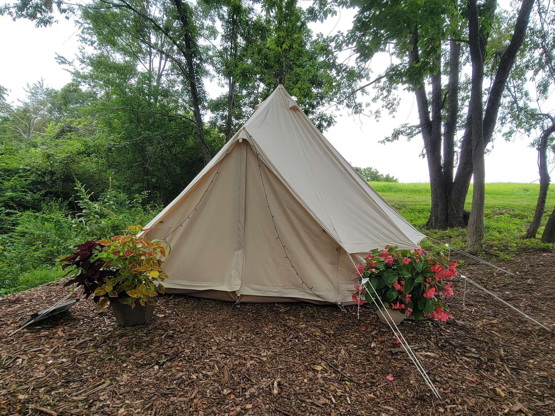 Wallkill River Camping - Hipcamp in Montgomery, New York