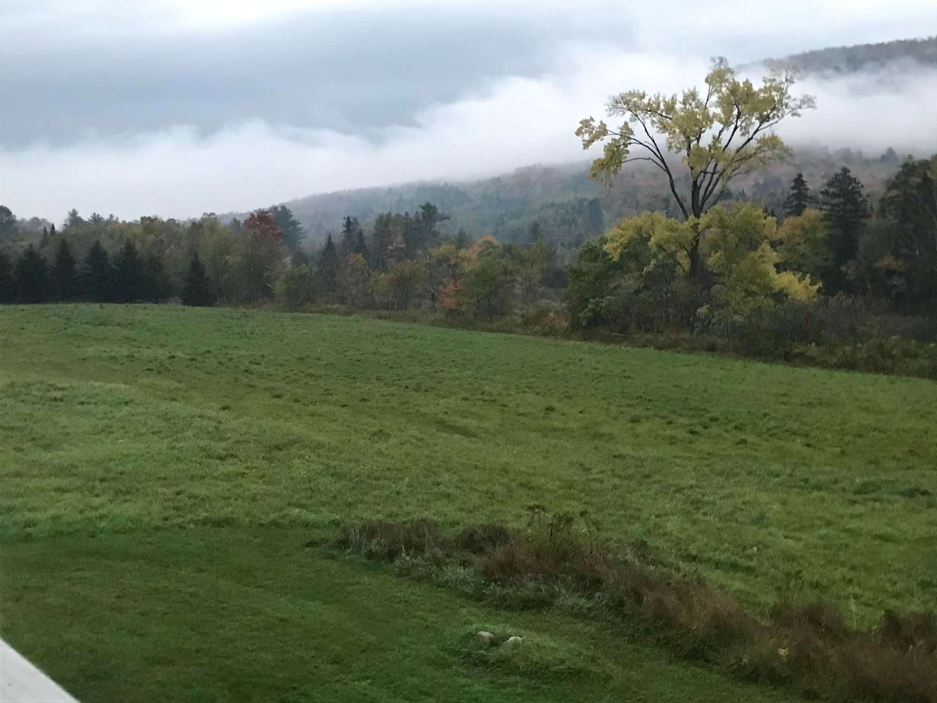 Timothy R.’s Land - Hipcamp in Bloomfield, Vermont