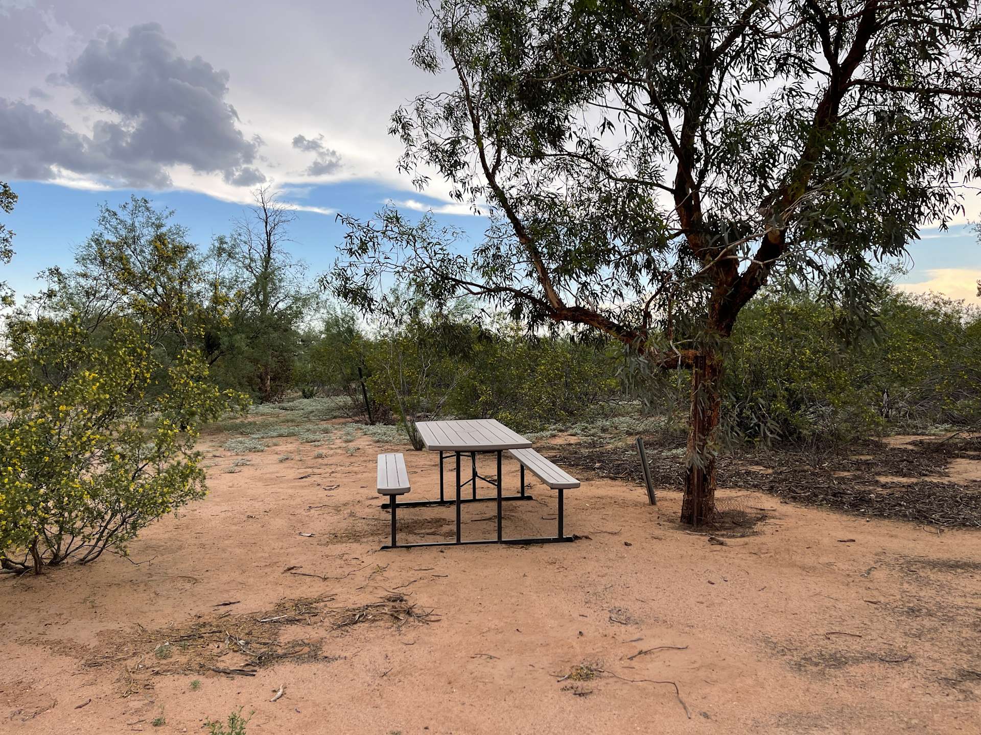 Desert Getaway in Avra Valley - Hipcamp in Avra Valley, Arizona