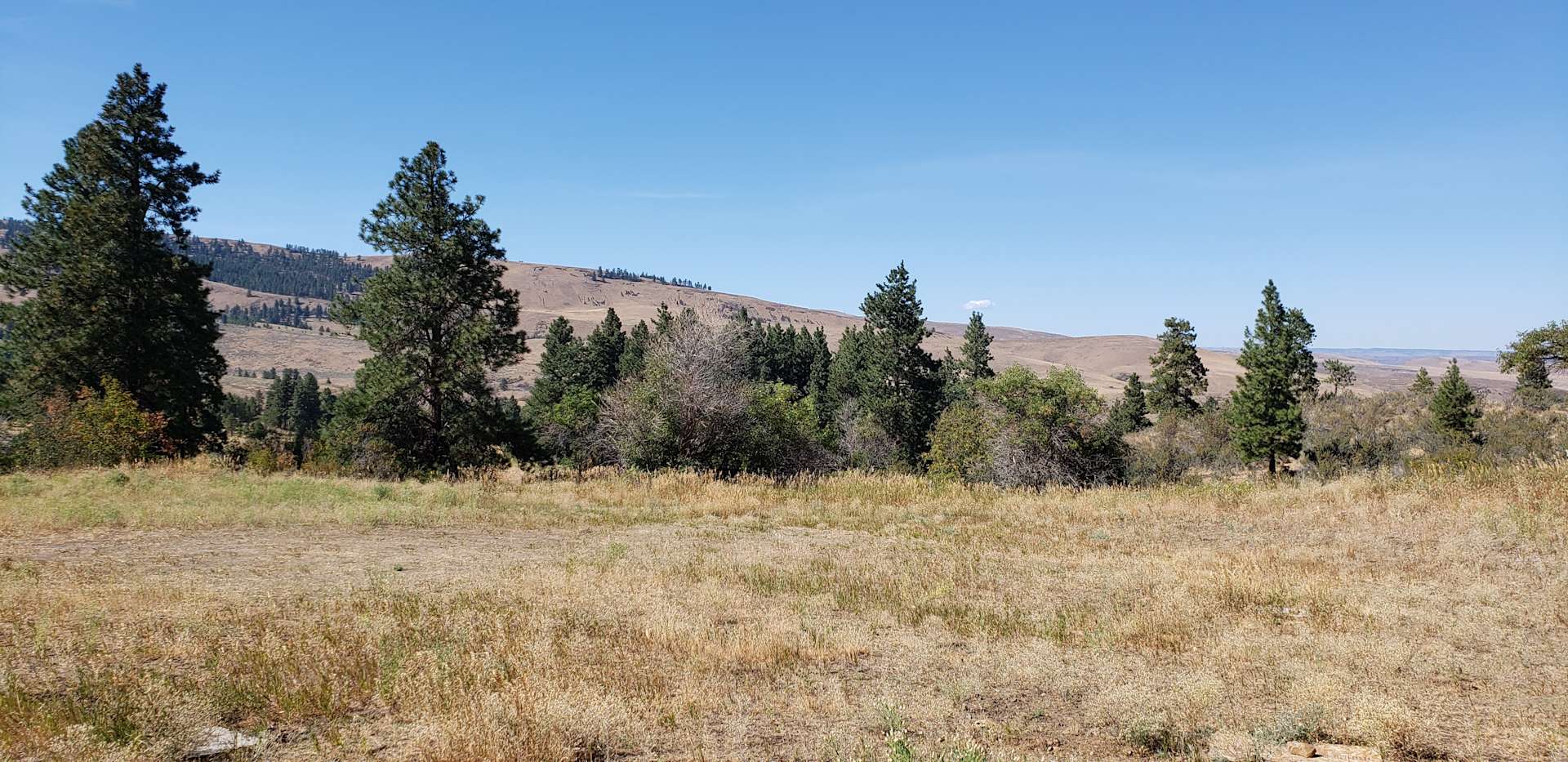 Colockum Wildlife Camp - Hipcamp in , Washington