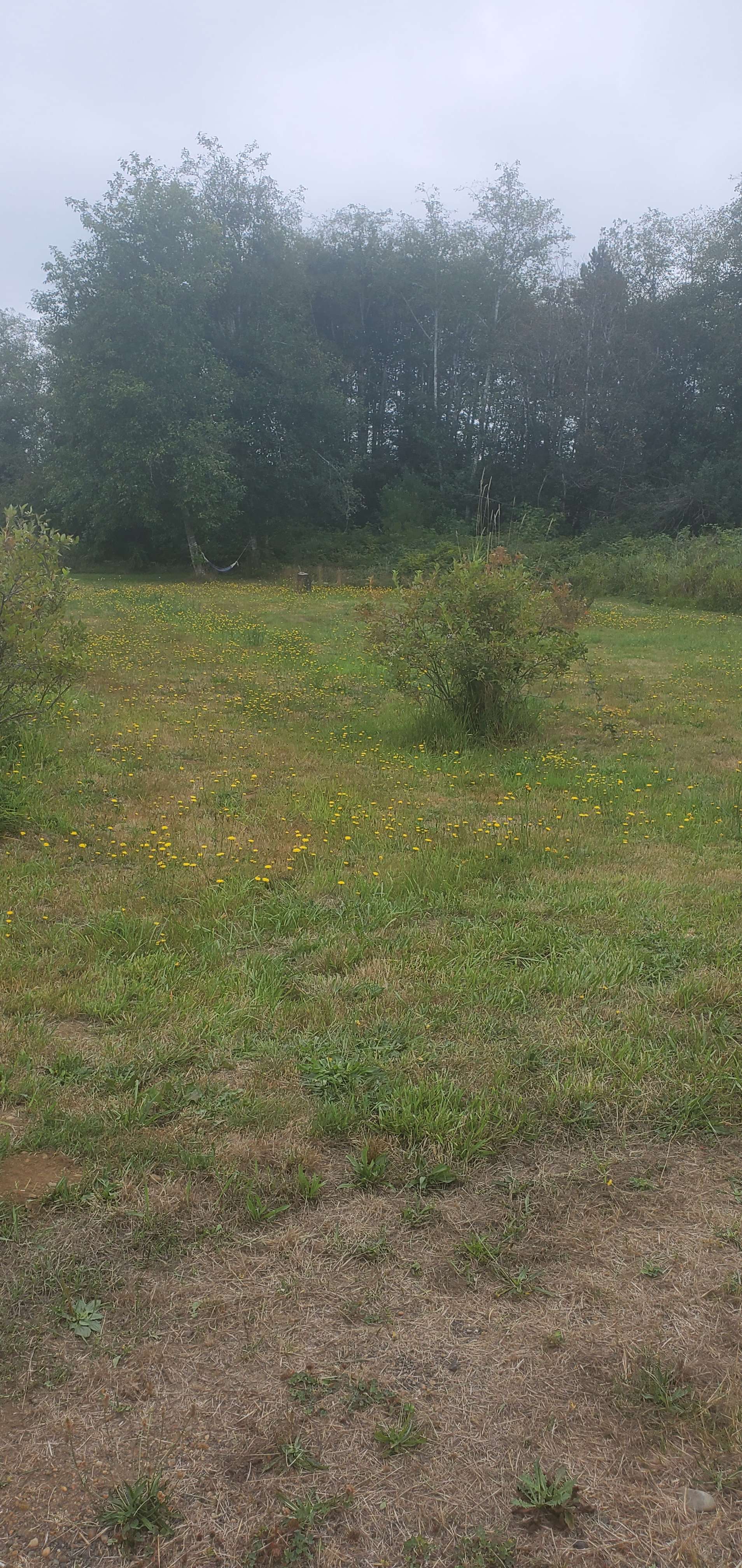 The Old KC - Hipcamp in Copalis Crossing, Washington