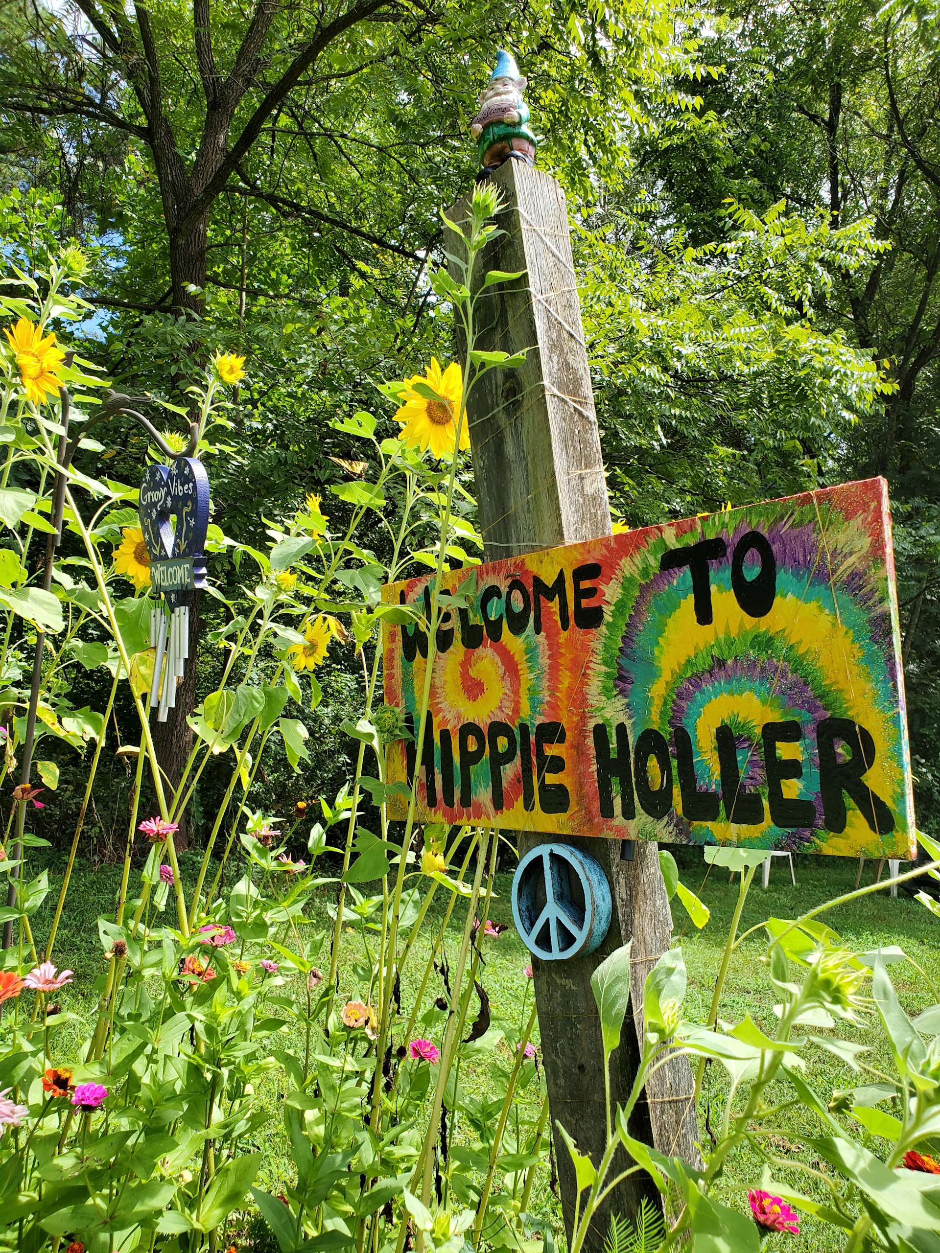 Hippie Holler Camping - Hipcamp in Gastonia, North Carolina