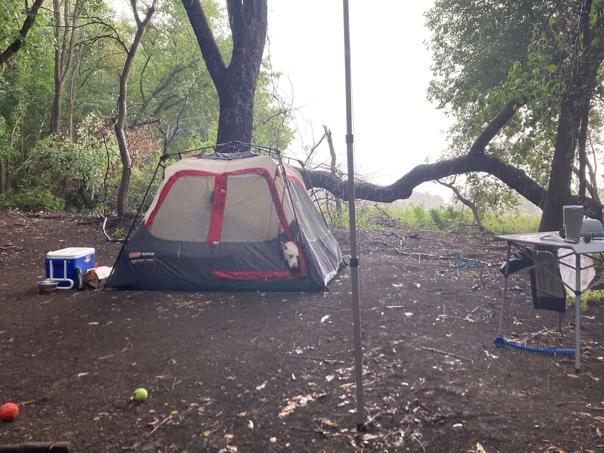 Auch Farm. - Hipcamp in Mount Pleasant, Wisconsin