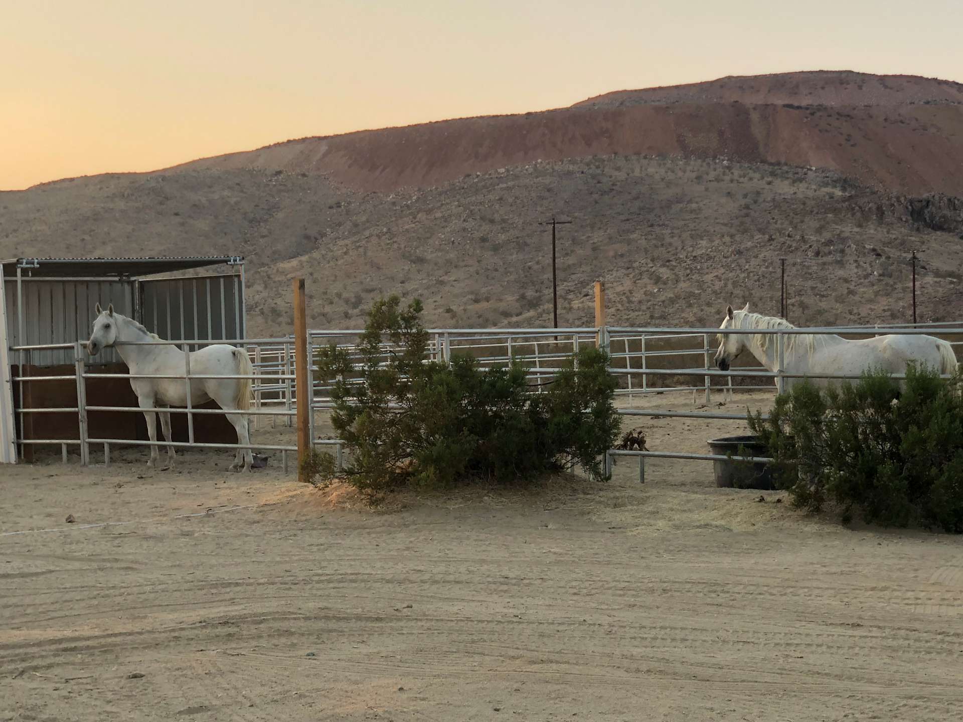 Horse Ranch Camp Desert Paradise - Hipcamp in , California