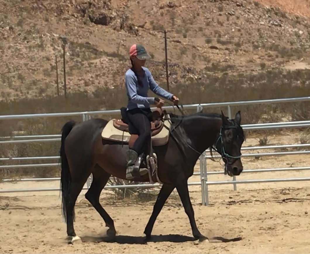 Horse Ranch Camp Desert Paradise - Hipcamp in , California