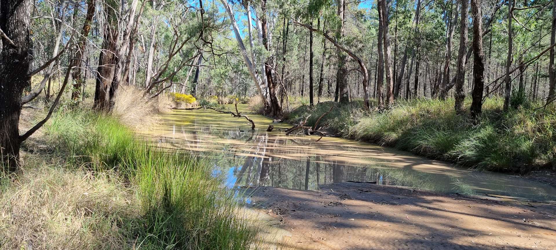 Bare Camp Nudist Clothing Optional - Hipcamp in Miles, Queensland
