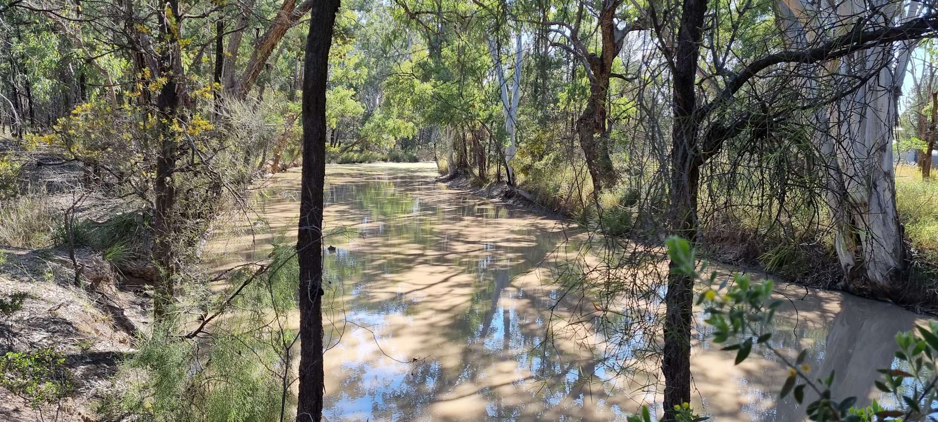 Bare Camp Nudist Clothing Optional - Hipcamp in Miles, Queensland