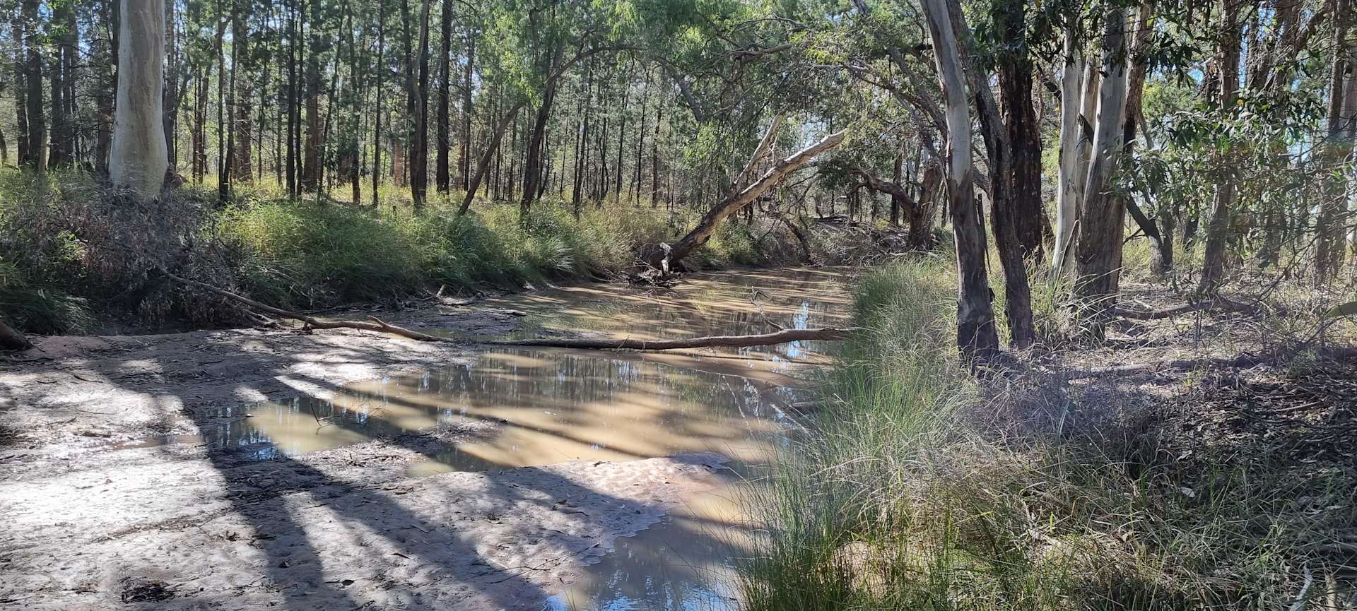 Bare Camp Nudist Clothing Optional - Hipcamp in Miles, Queensland