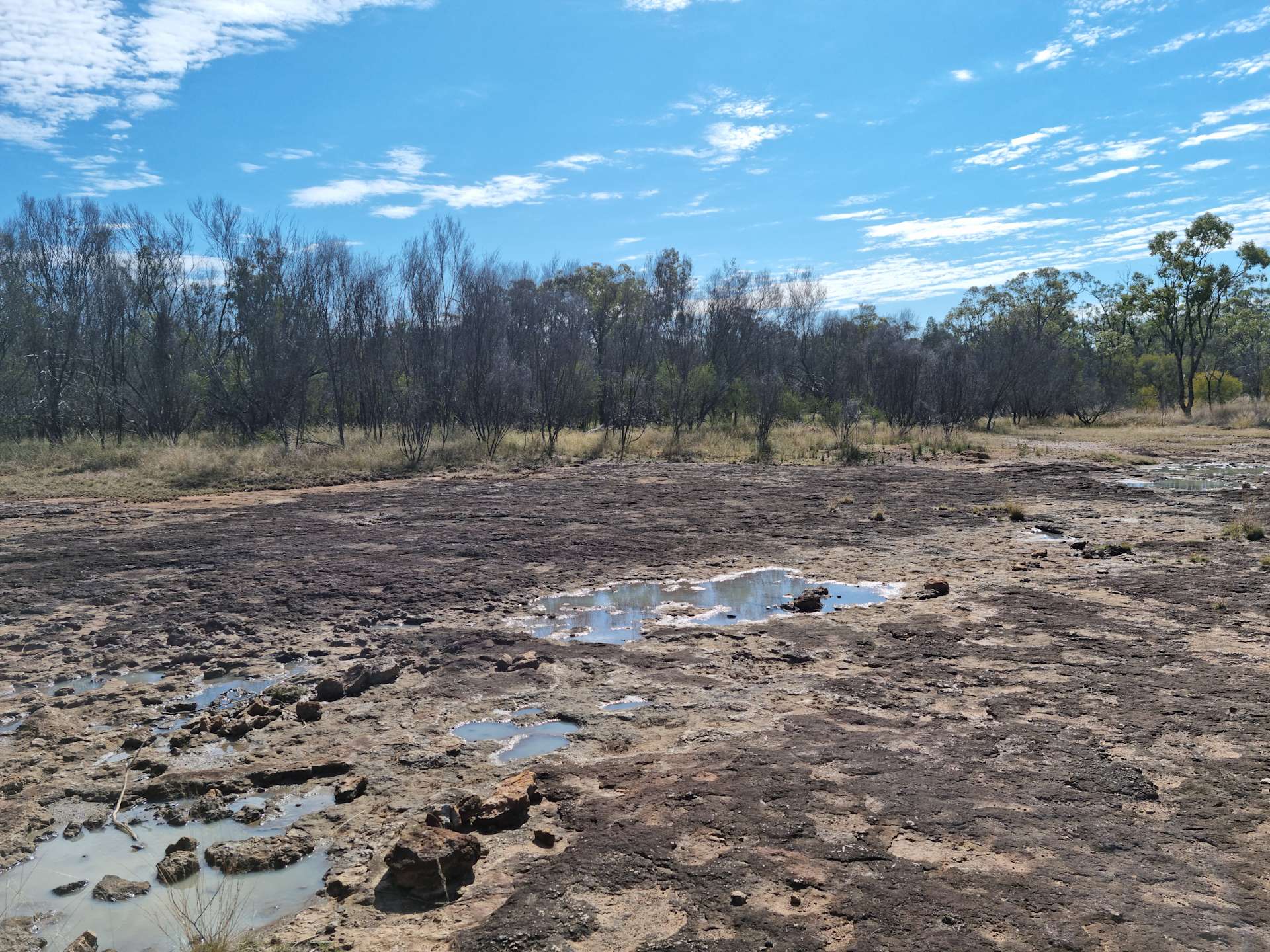 Bare Camp Nudist Clothing Optional - Hipcamp in Miles, Queensland