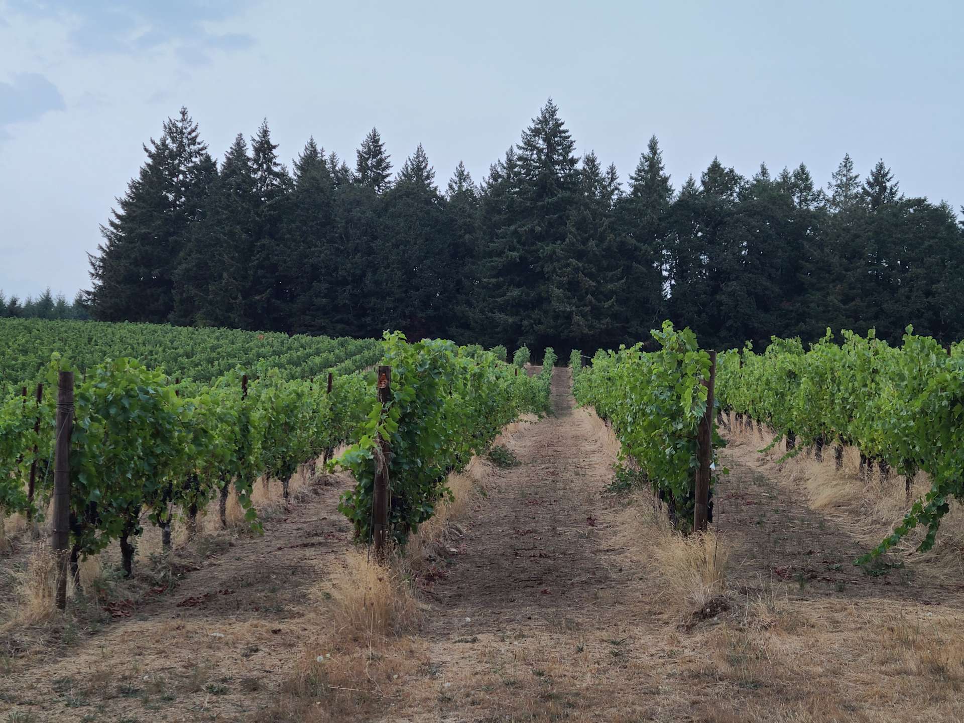 Hagg Lake Home - Hipcamp in Gaston, Oregon