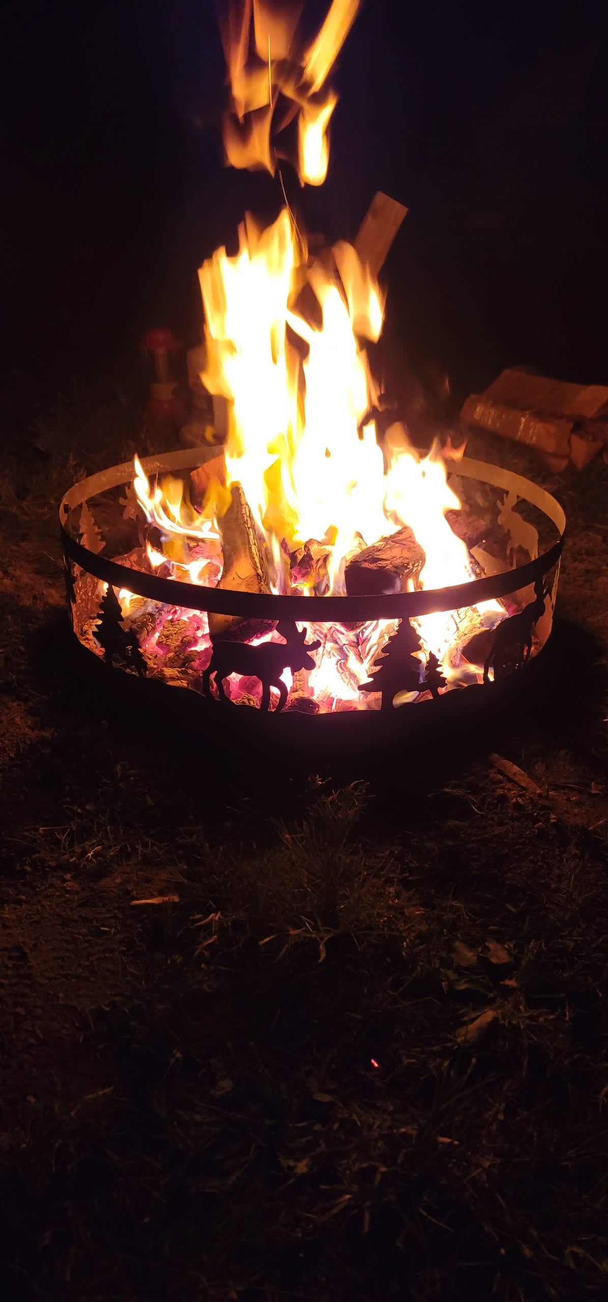 Wallkill River Camping - Hipcamp in Montgomery, New York