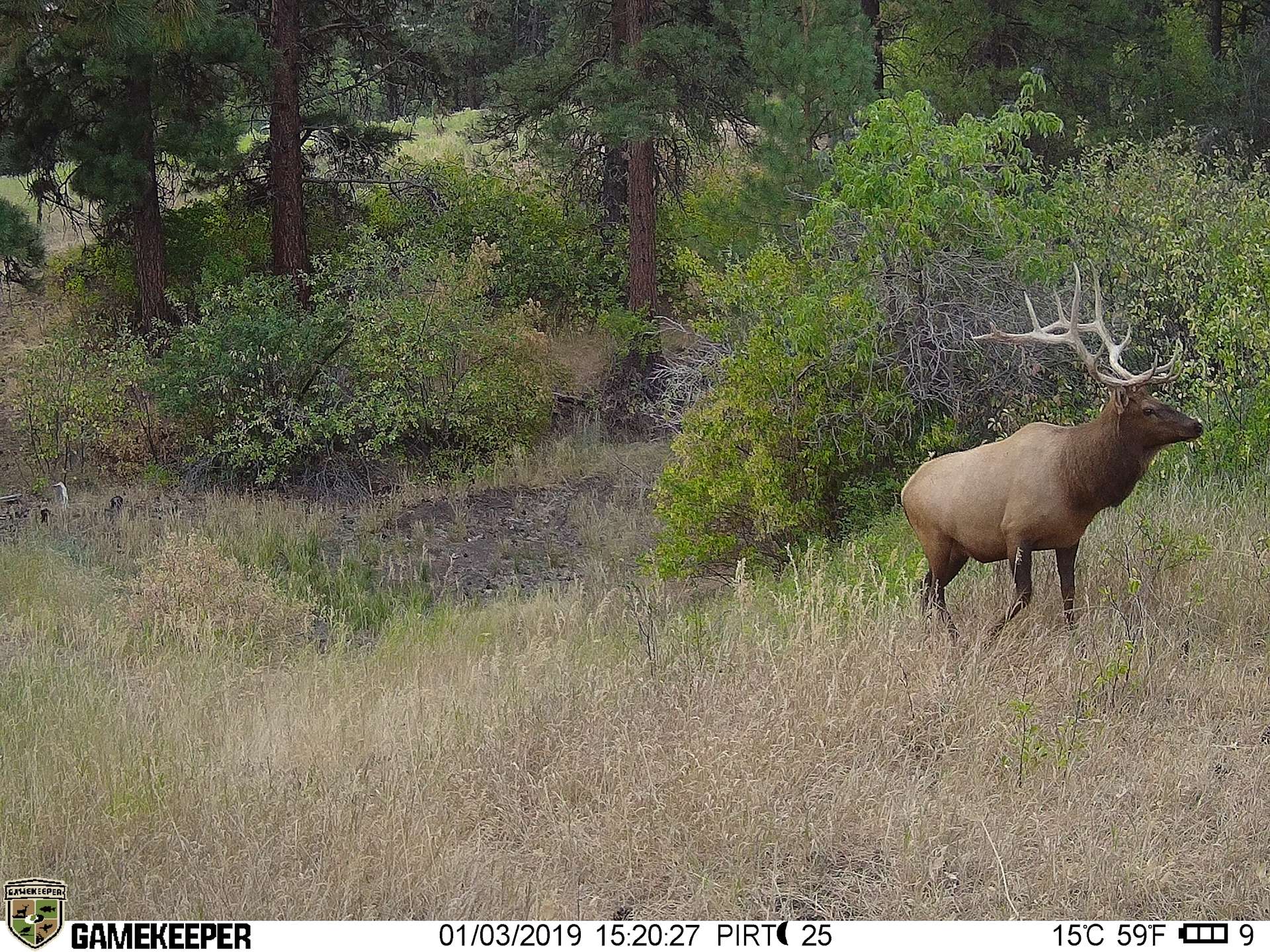 Colockum Wildlife Camp - Hipcamp in , Washington